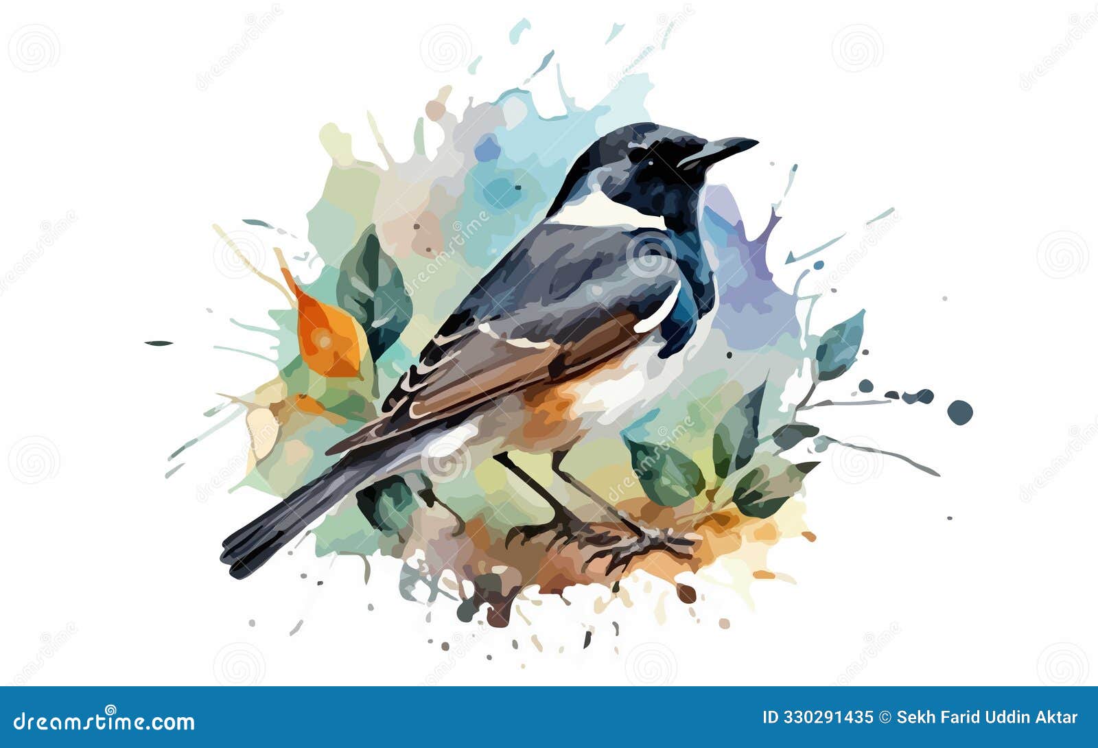 Magpie Robin Watercolor Art and Illustration Generative AI Stock ...