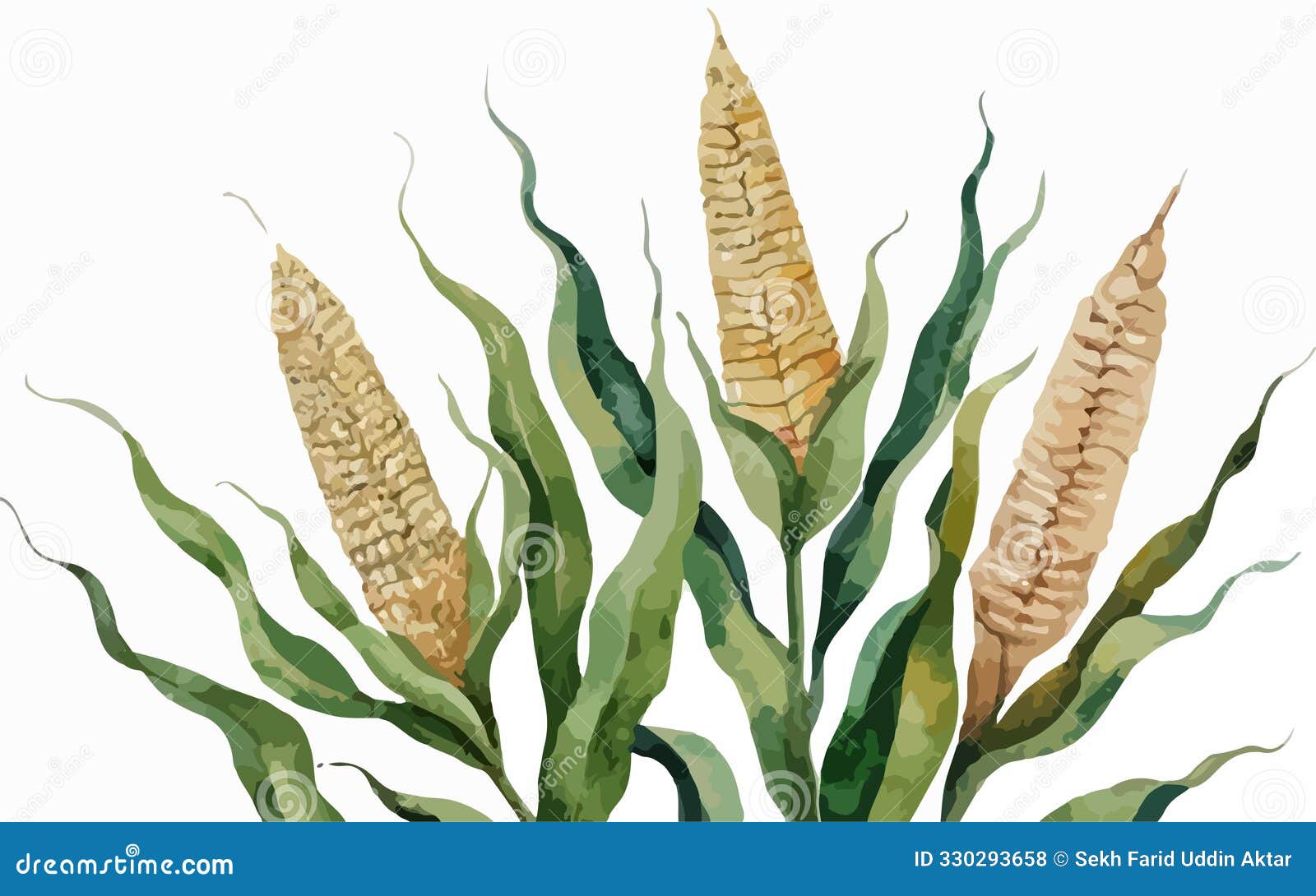 Maize Watercolor Art and Illustration Generative AI Stock Vector ...