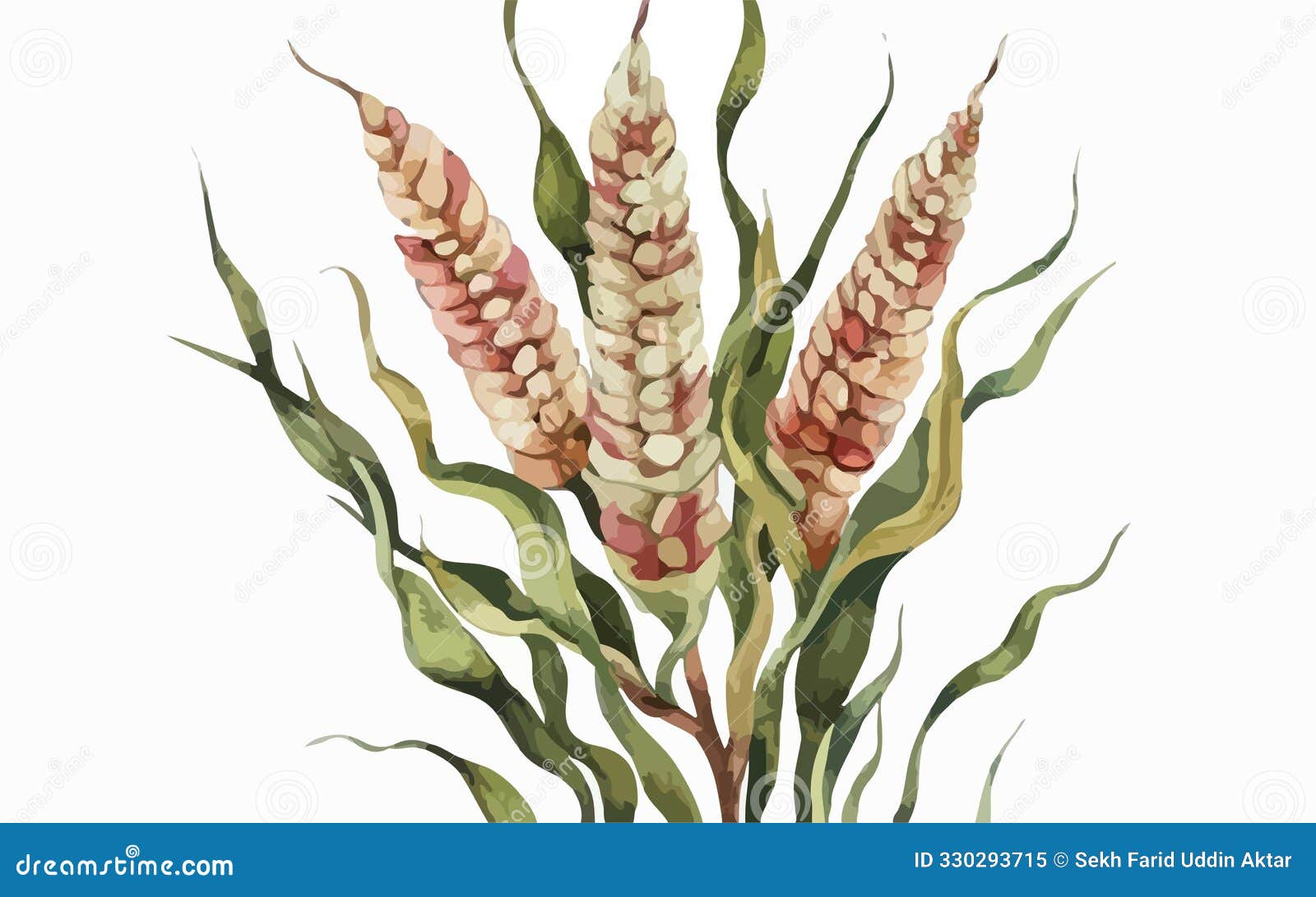 Maize Watercolor Art and Illustration Generative AI Stock Vector ...