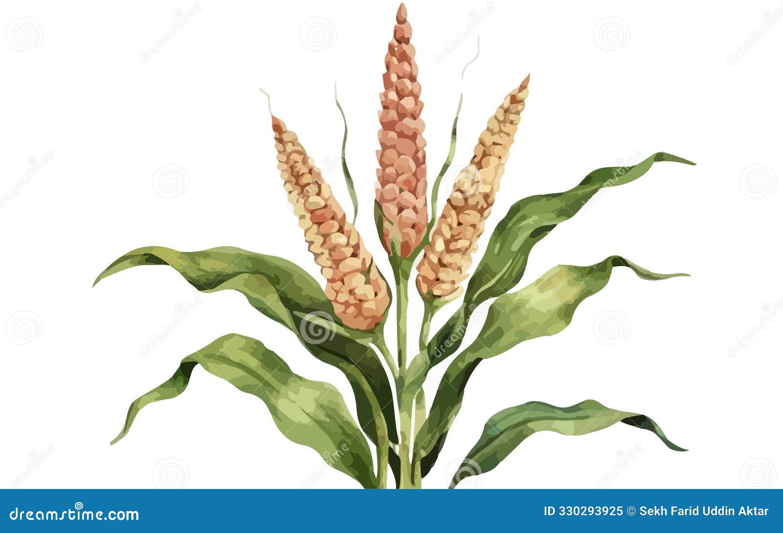 Maize Watercolor Art and Illustration Generative AI Stock Vector ...