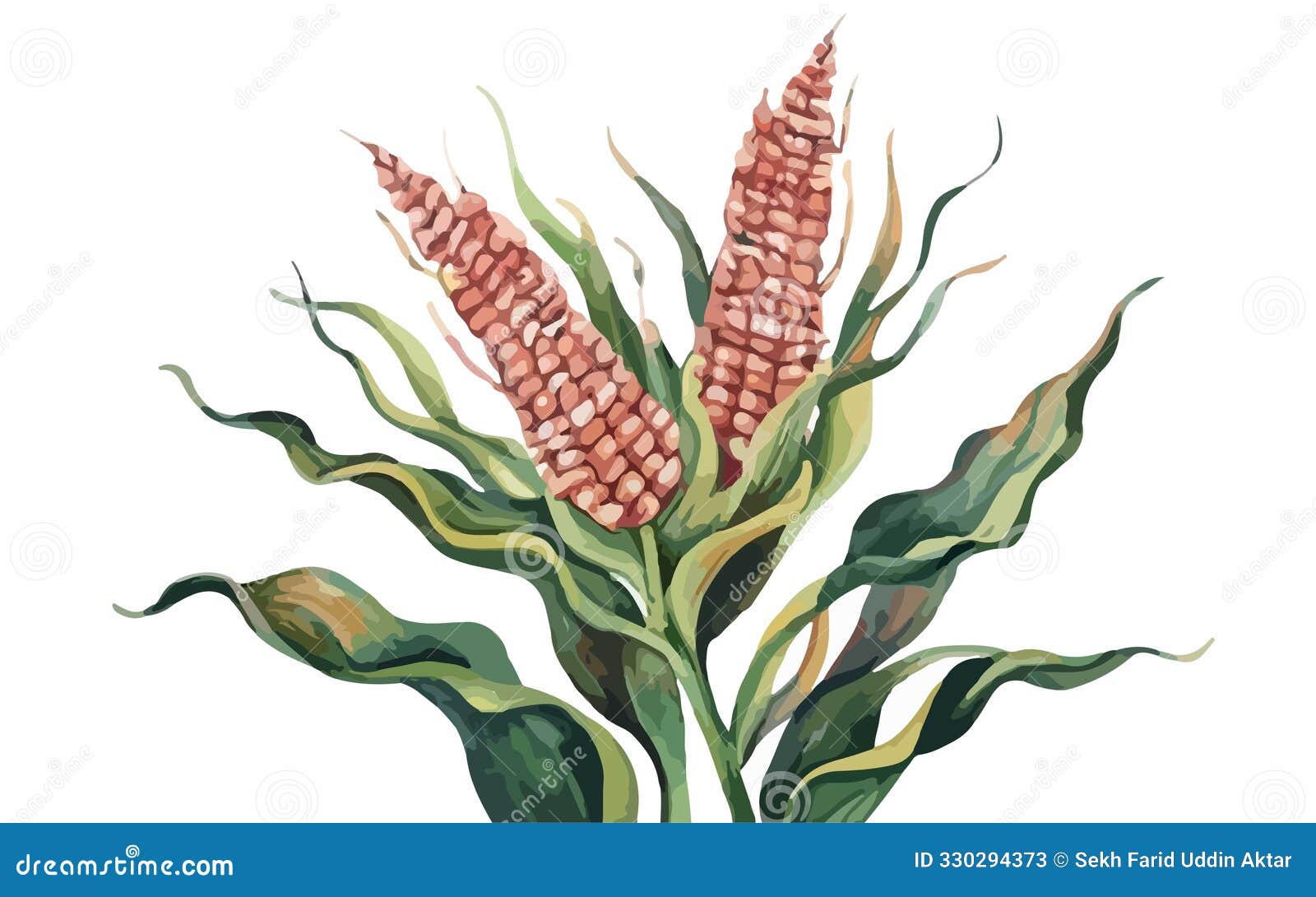 Maize Watercolor Art and Illustration Generative AI Stock Illustration ...