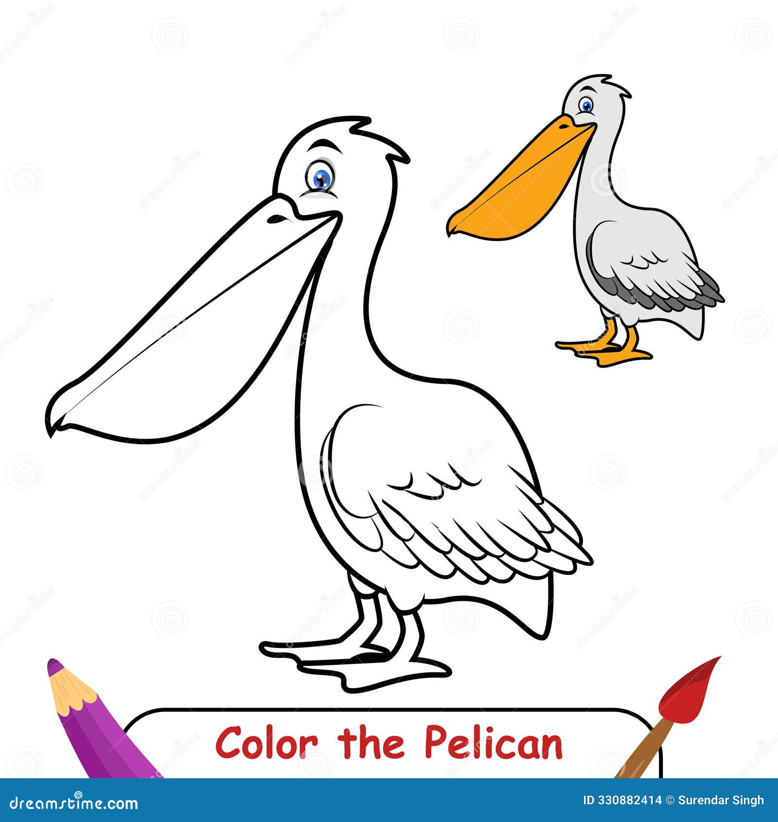 Pelican Coloring Page, Coloring Book for Kids, Pelican Isolated Vector ...