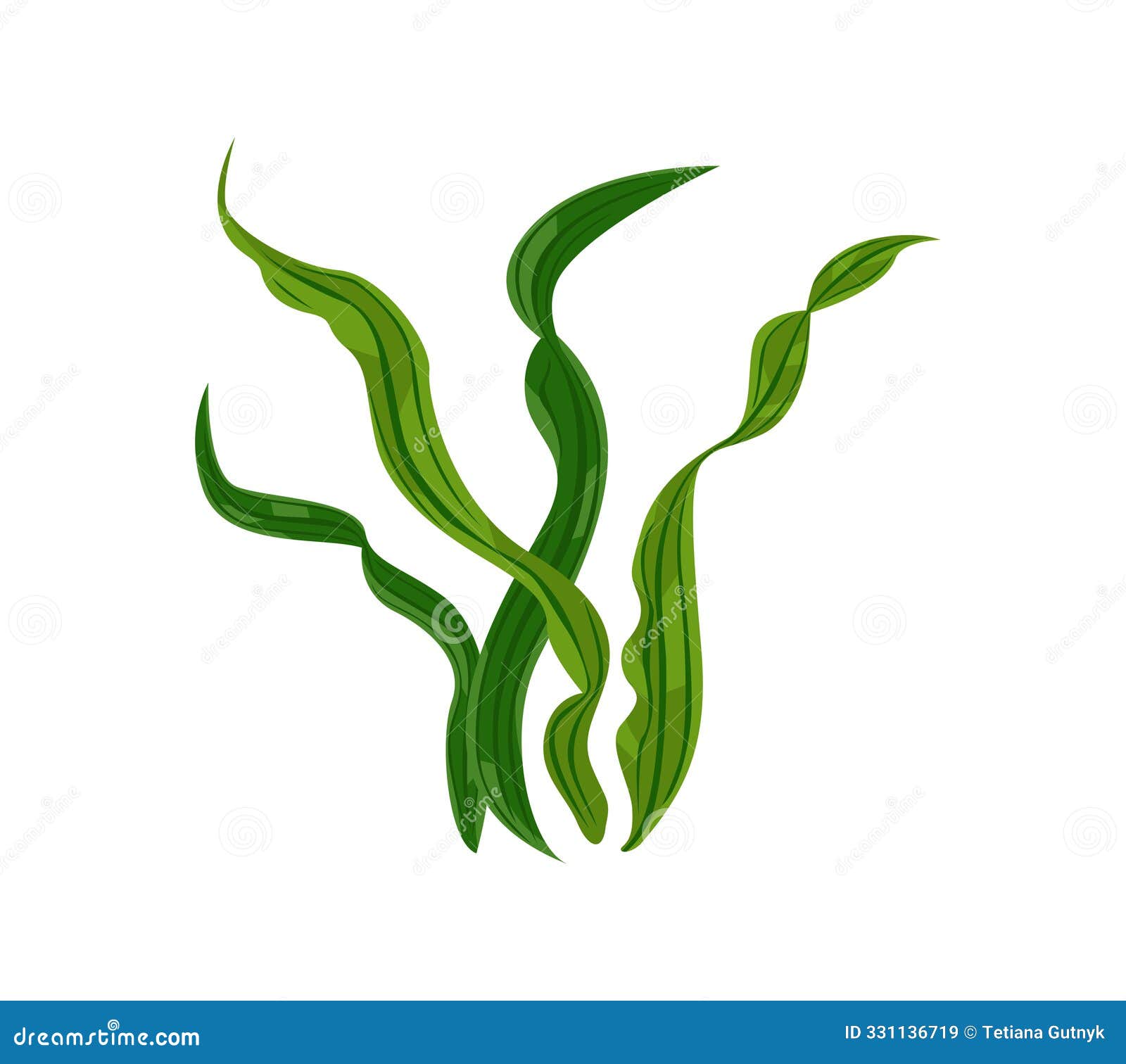 Seaweed Isolated. Vector Cartoon Illustration. | CartoonDealer.com ...