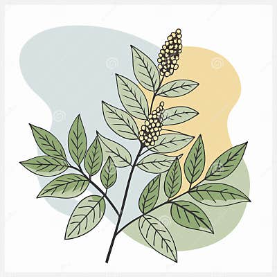 Majestic Sumac Tree Vector Illustration, a Stunning Representation of ...