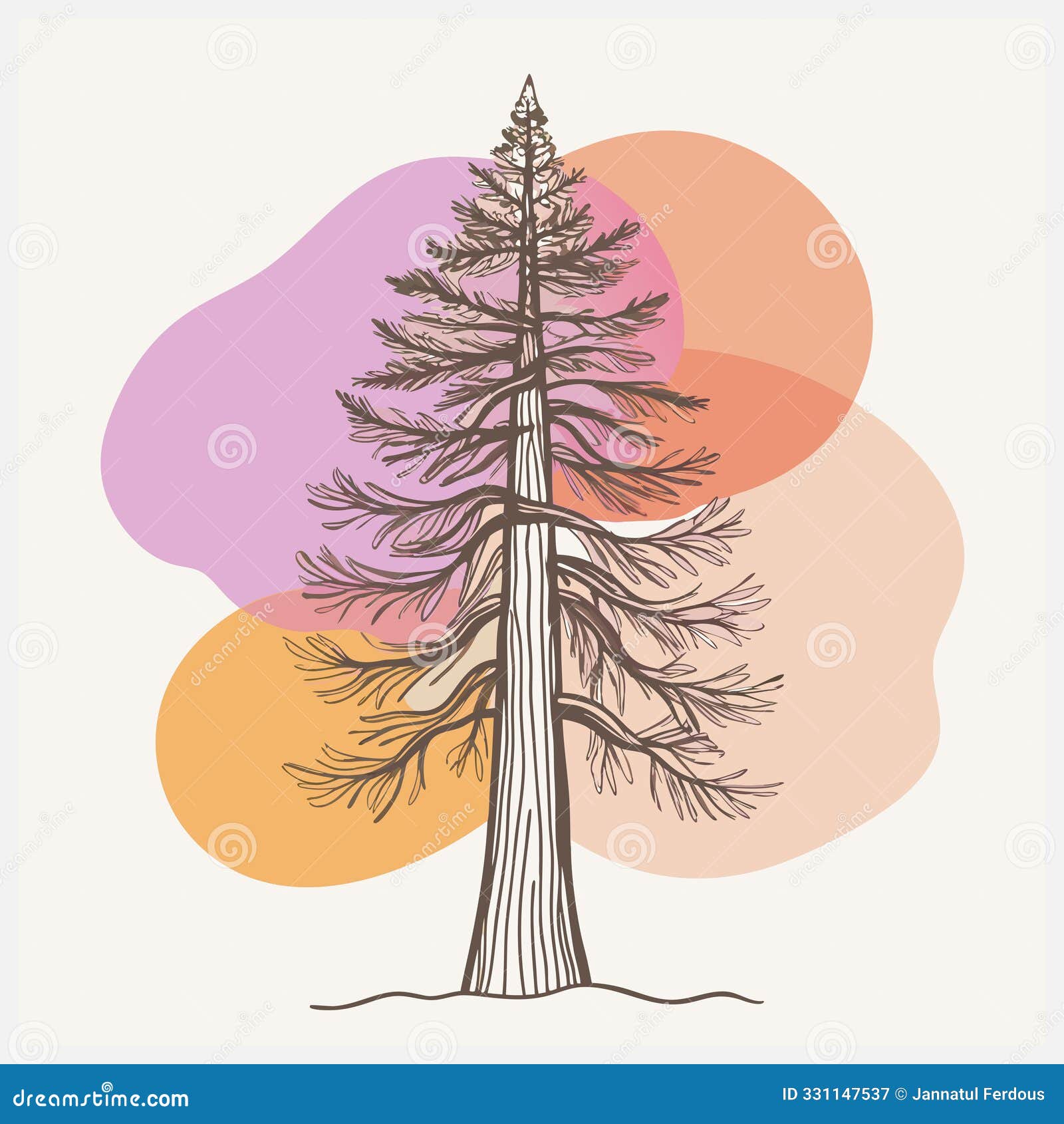 Majestic Redwood Tree Vector Illustration Stock Vector - Illustration ...