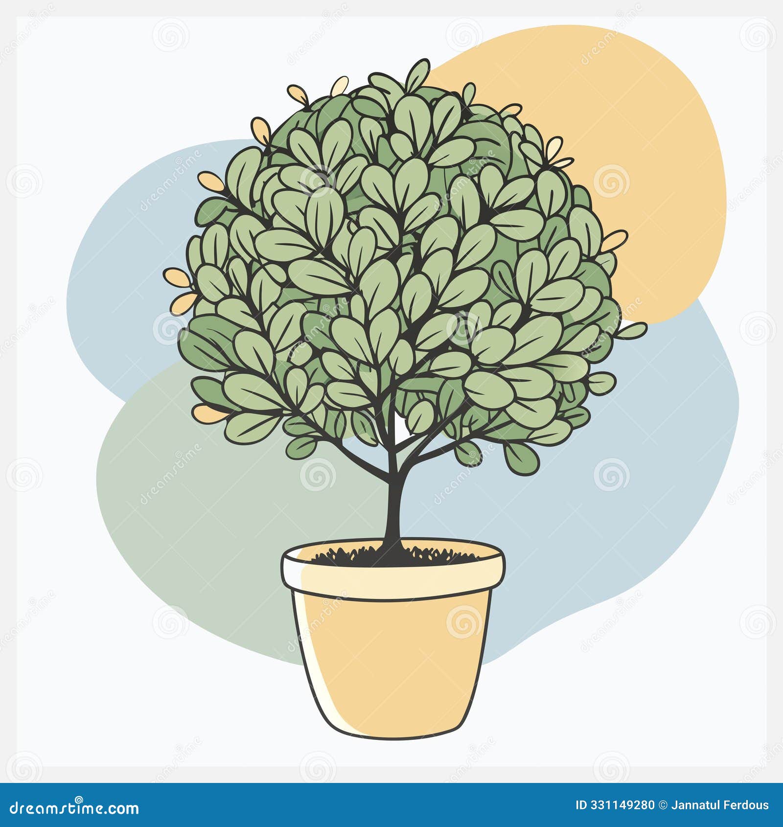 Elegant Boxwood Tree Vector Illustration Stock Illustration ...