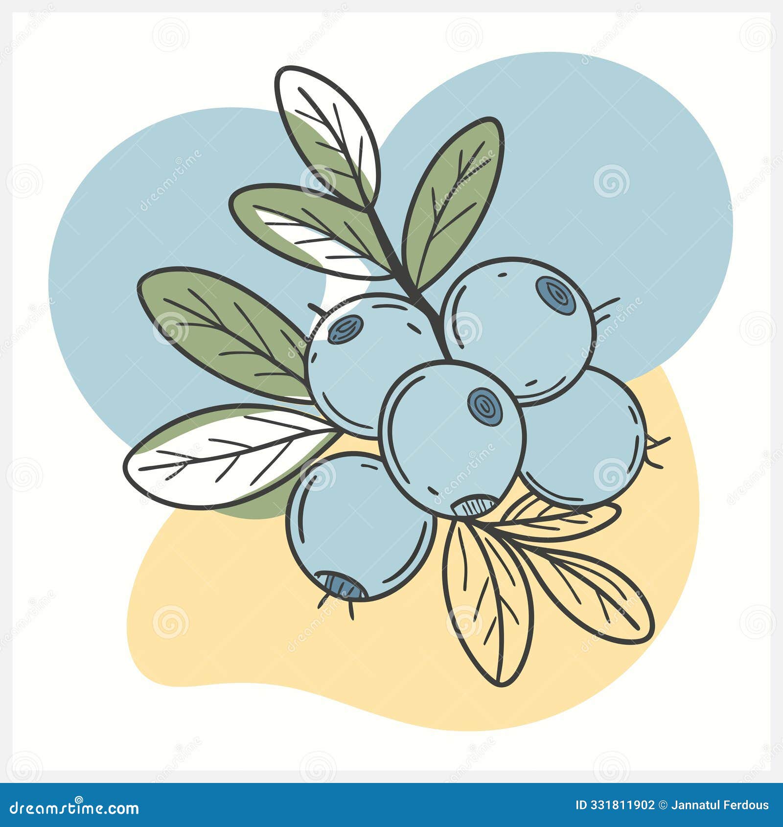Crowberry Fruit Vector Illustration Stock Vector - Illustration of ...