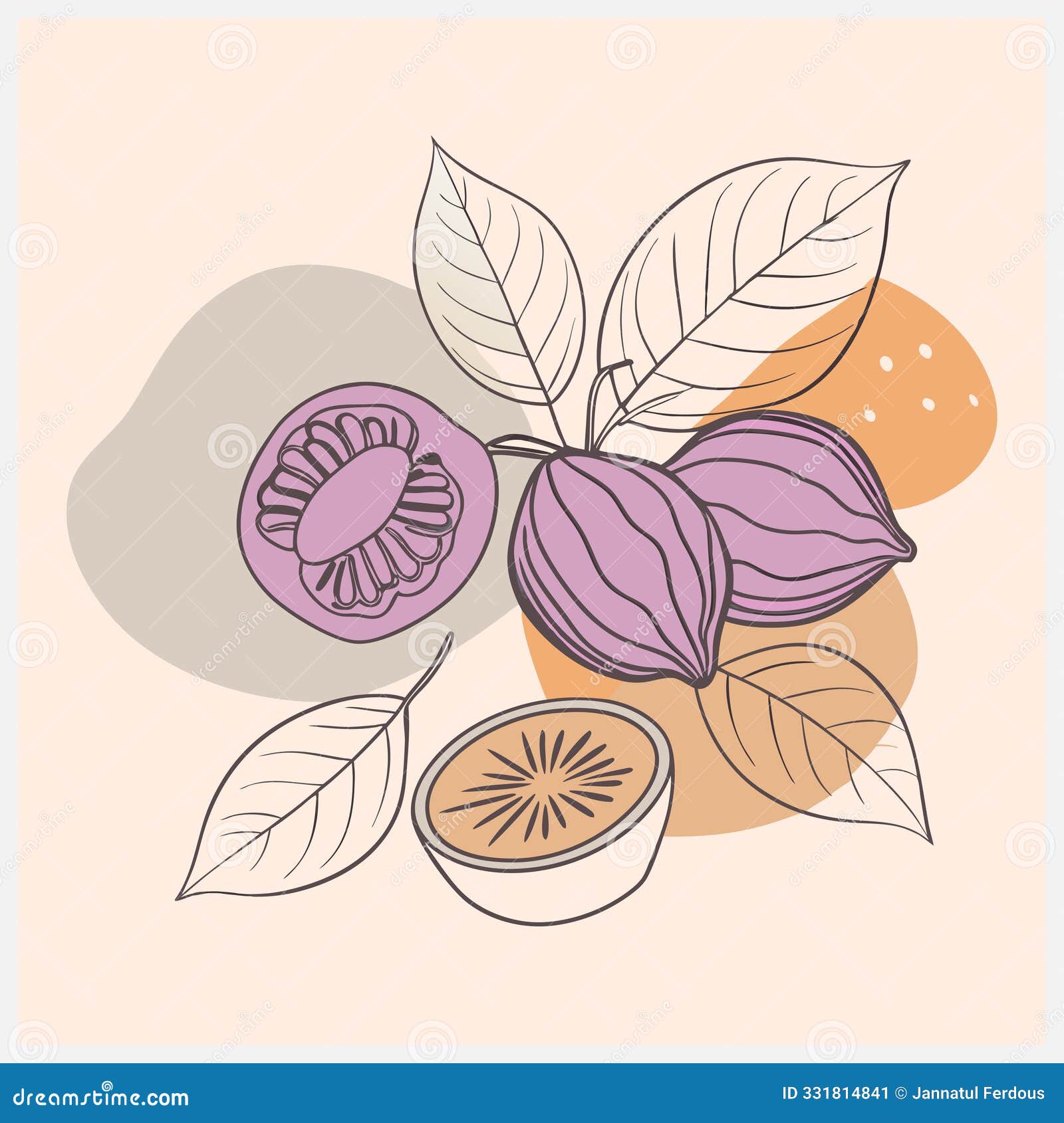 Vibrant Betel Nut Fruit Vector Art Stock Illustration - Illustration of ...