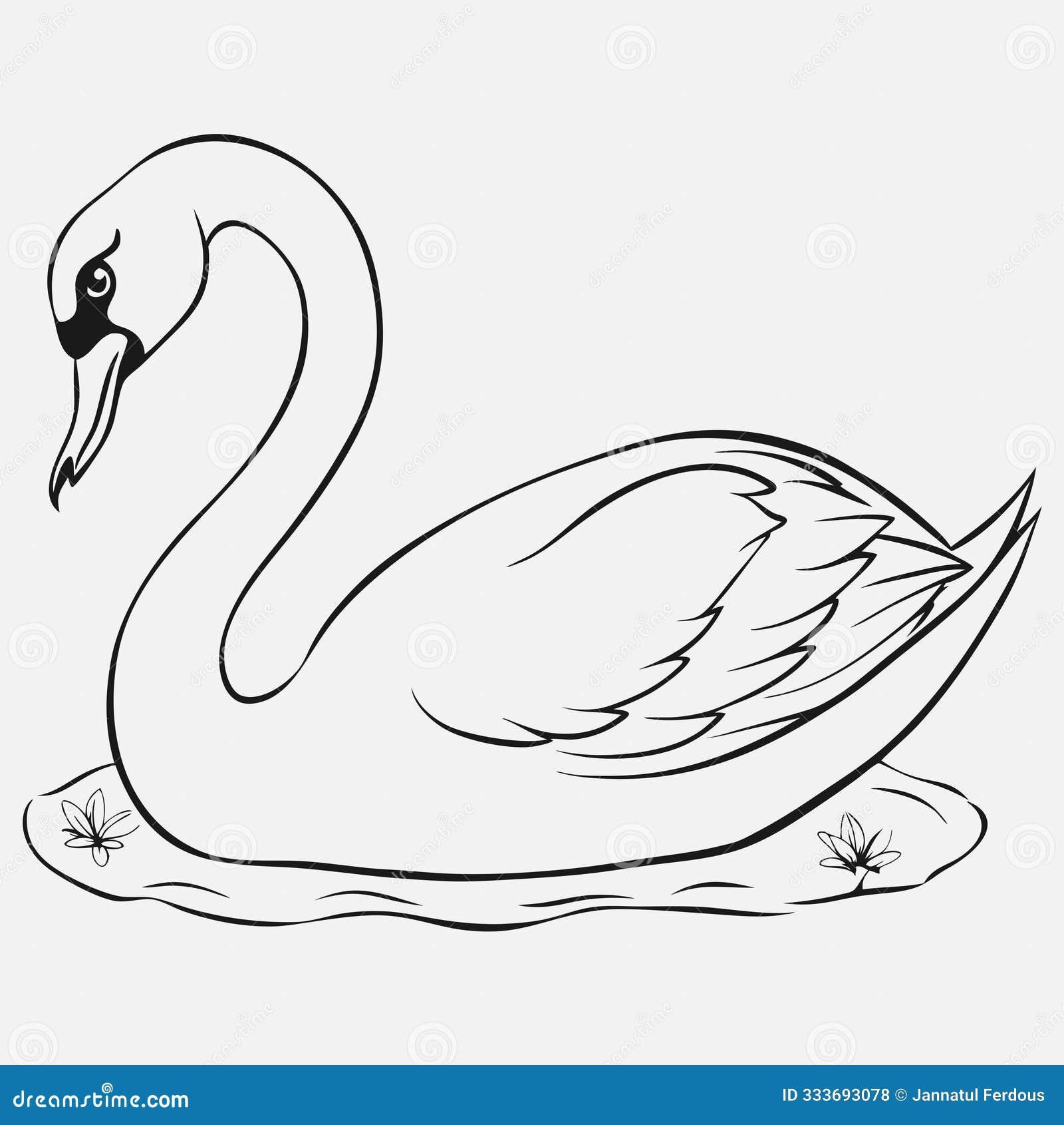 Black Swan Bird Suing Detailed Line Art Illustration Stock Illustration ...