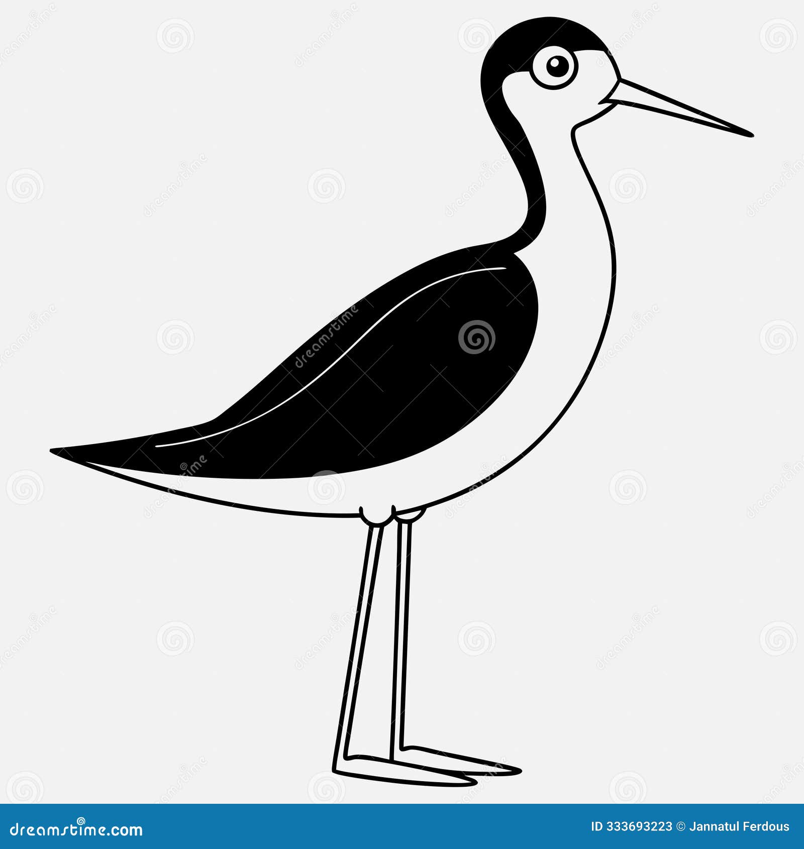 Elegant Black-Necked Stilt Bird Standing - Stunning Line Art ...