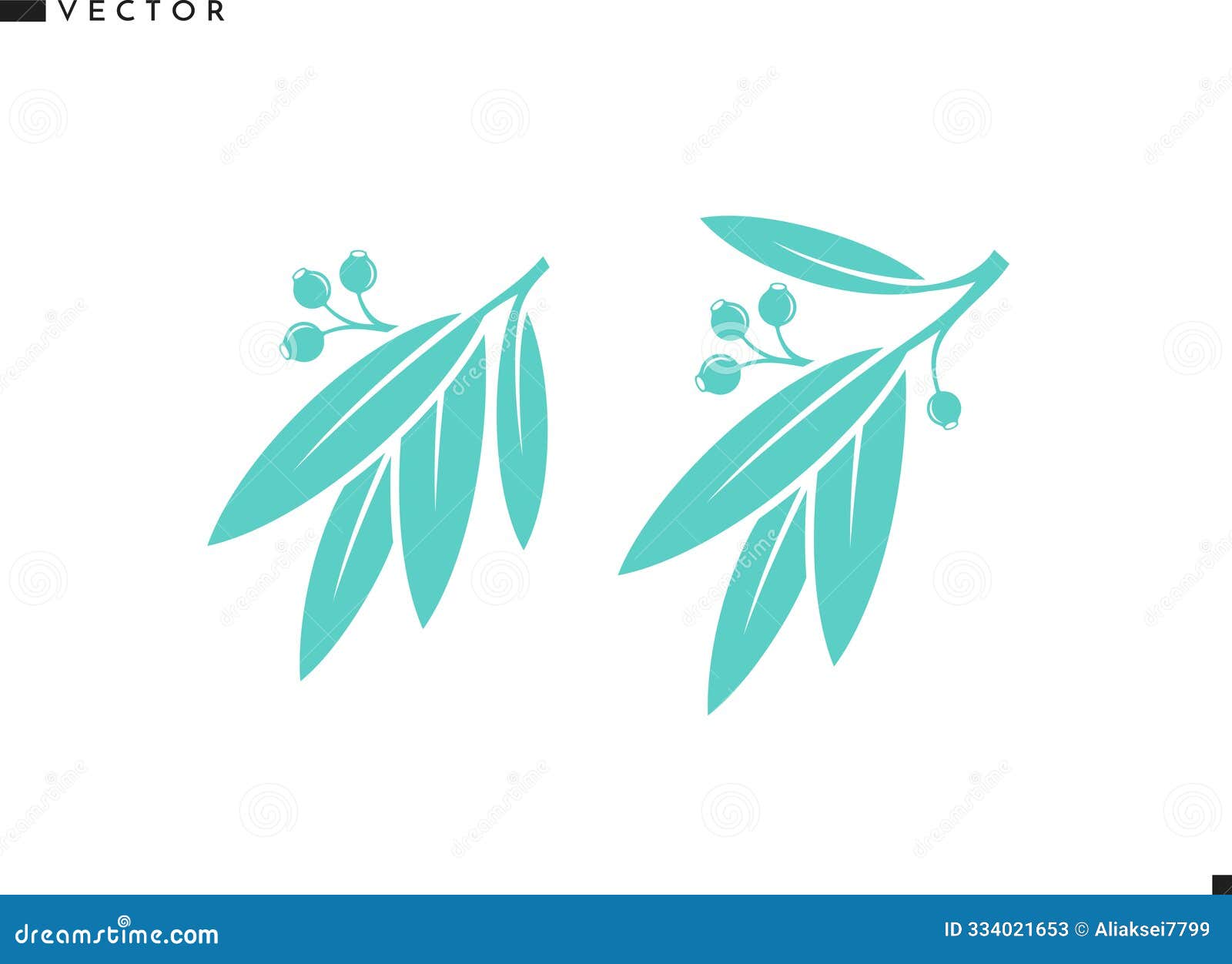 Eucalyptus Tree Vector. Isolated Branch Stock Illustration ...