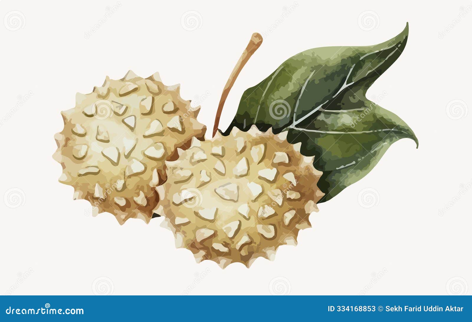 Lychee Fruit Art and Illustration Generative AI Stock Vector ...