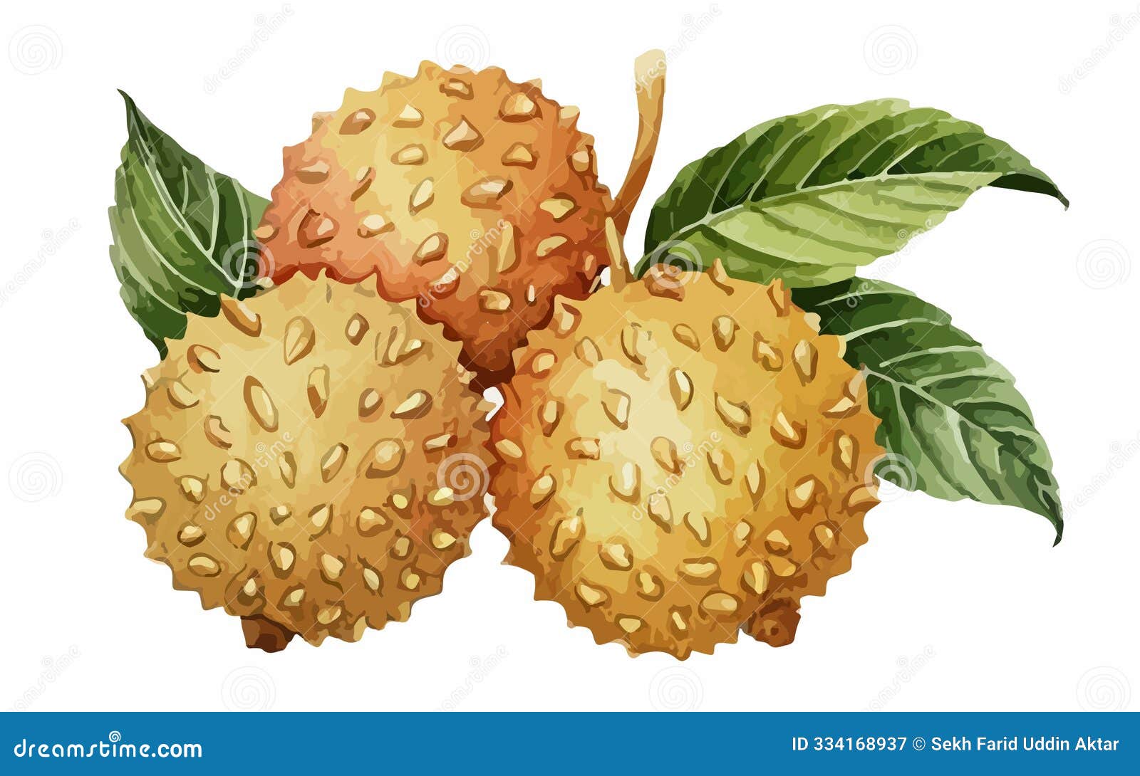 Lychee Fruit Art and Illustration Generative AI Stock Vector ...