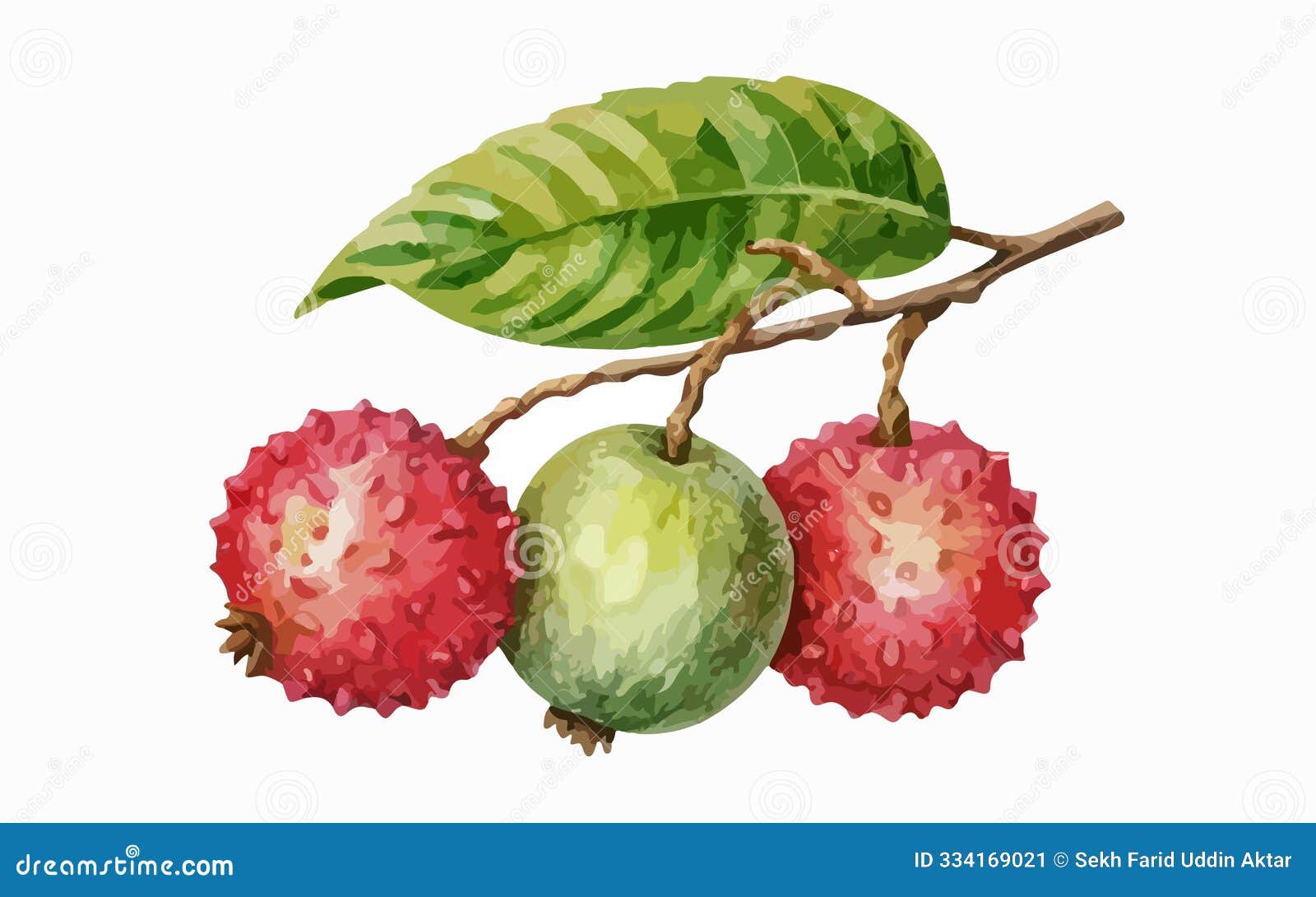 Lychee Fruit Art and Illustration Generative AI Stock Vector ...