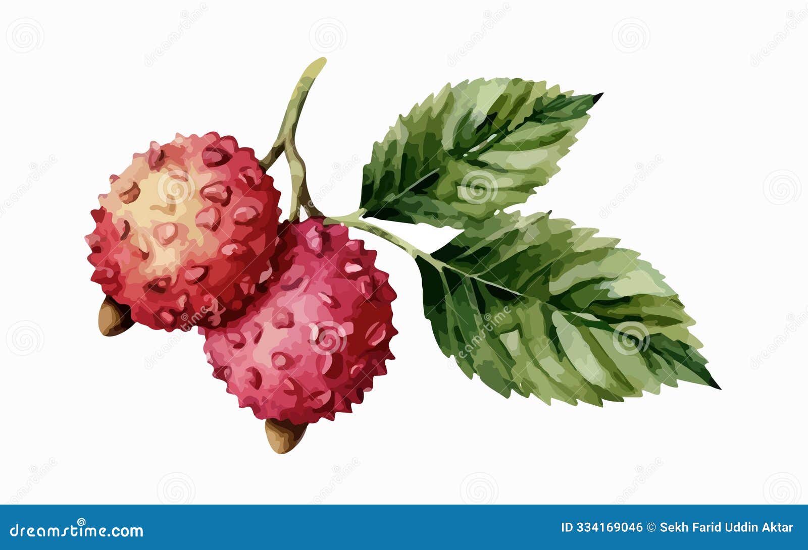 Lychee Fruit Art and Illustration Generative AI Stock Vector ...