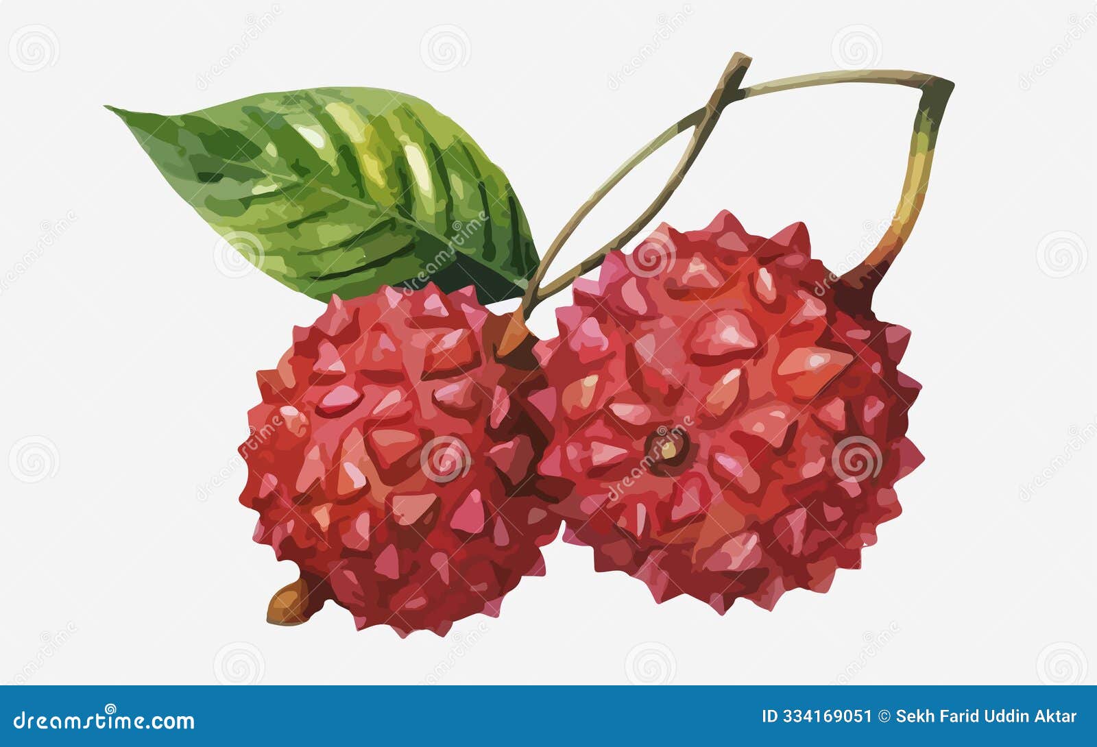 Lychee Fruit Art and Illustration Generative AI Stock Vector ...