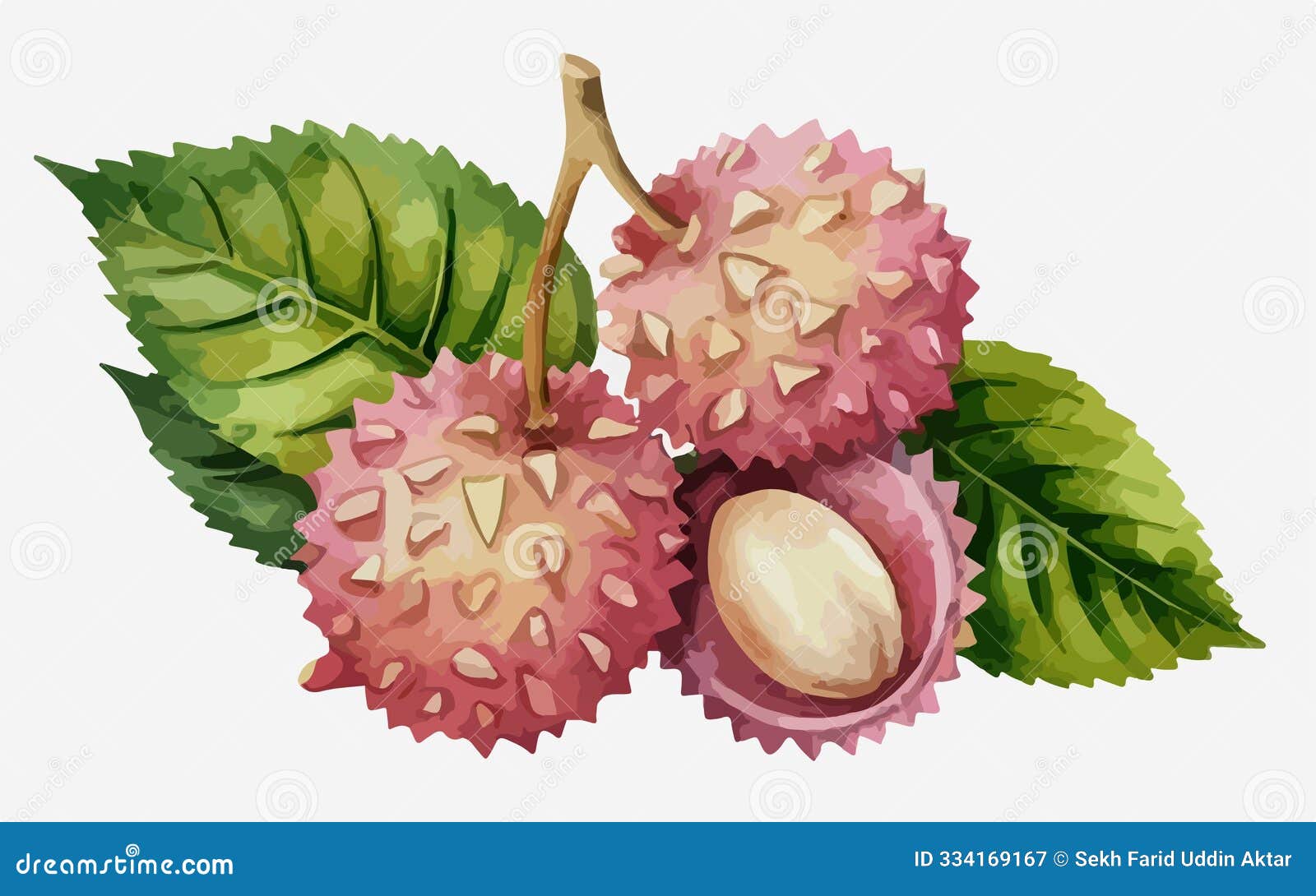 Lychee Fruit Art and Illustration Generative AI Stock Vector ...
