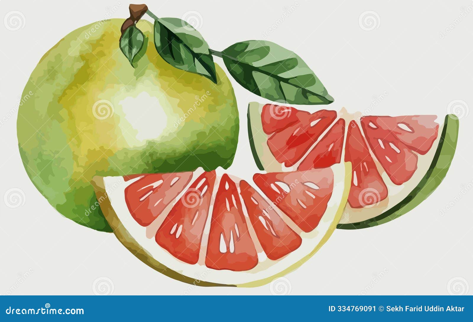 Pomelo Fruits Art and Illustration Generative AI Stock Illustration ...