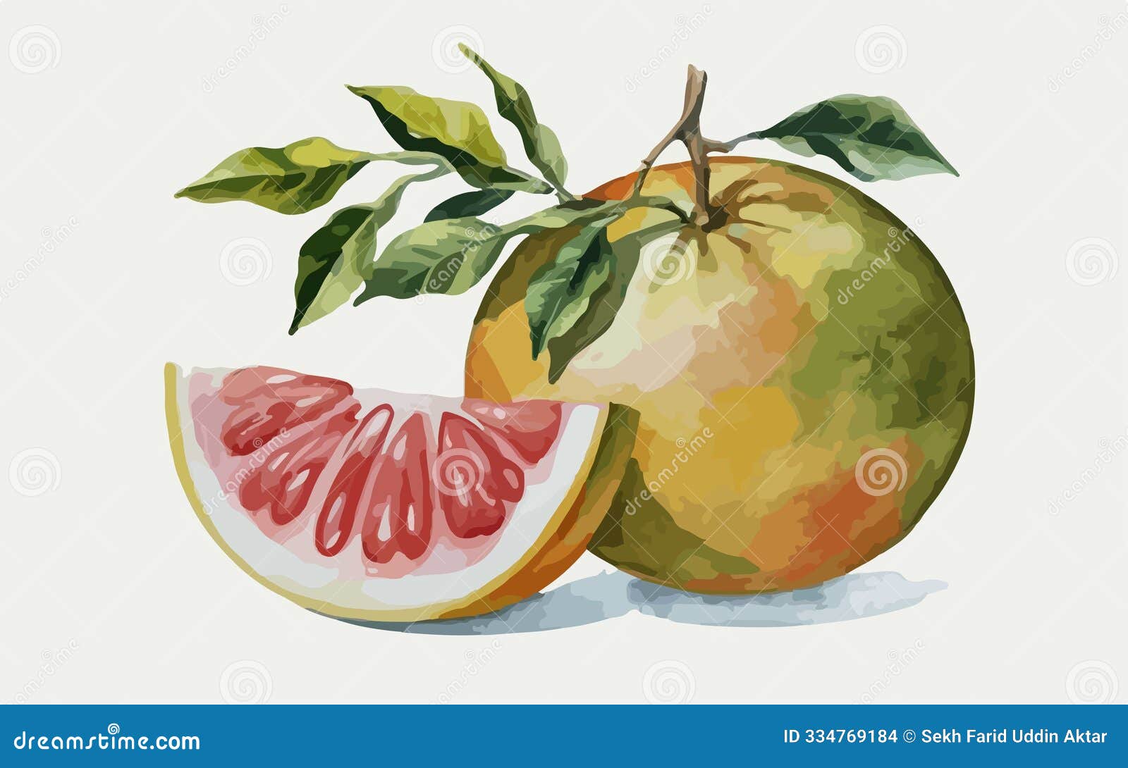 Pomelo Fruits Art and Illustration Generative AI Stock Illustration ...