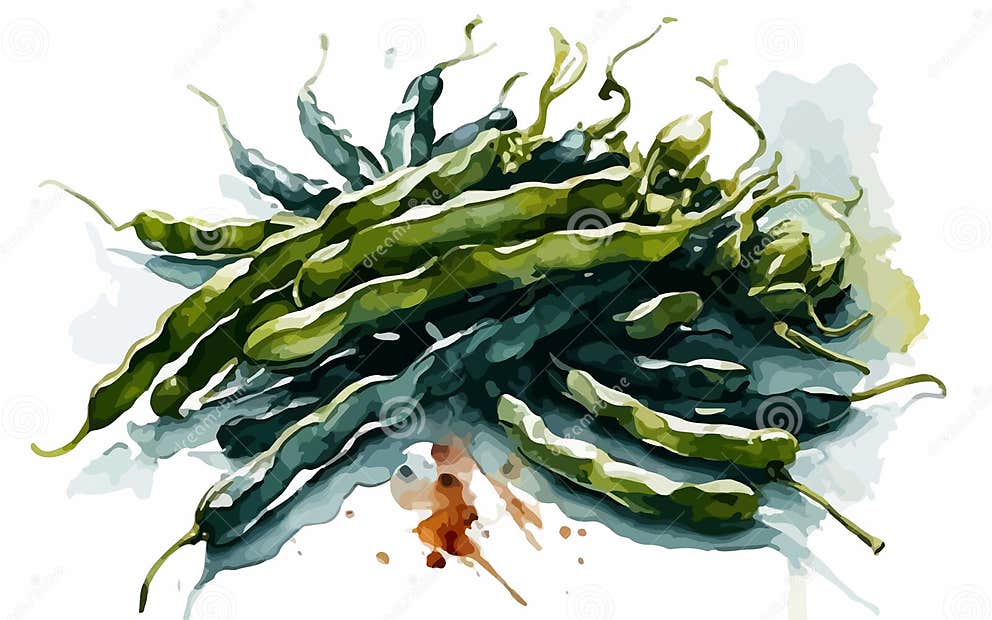 String Beans Art and Illustration Generative AI Stock Illustration ...
