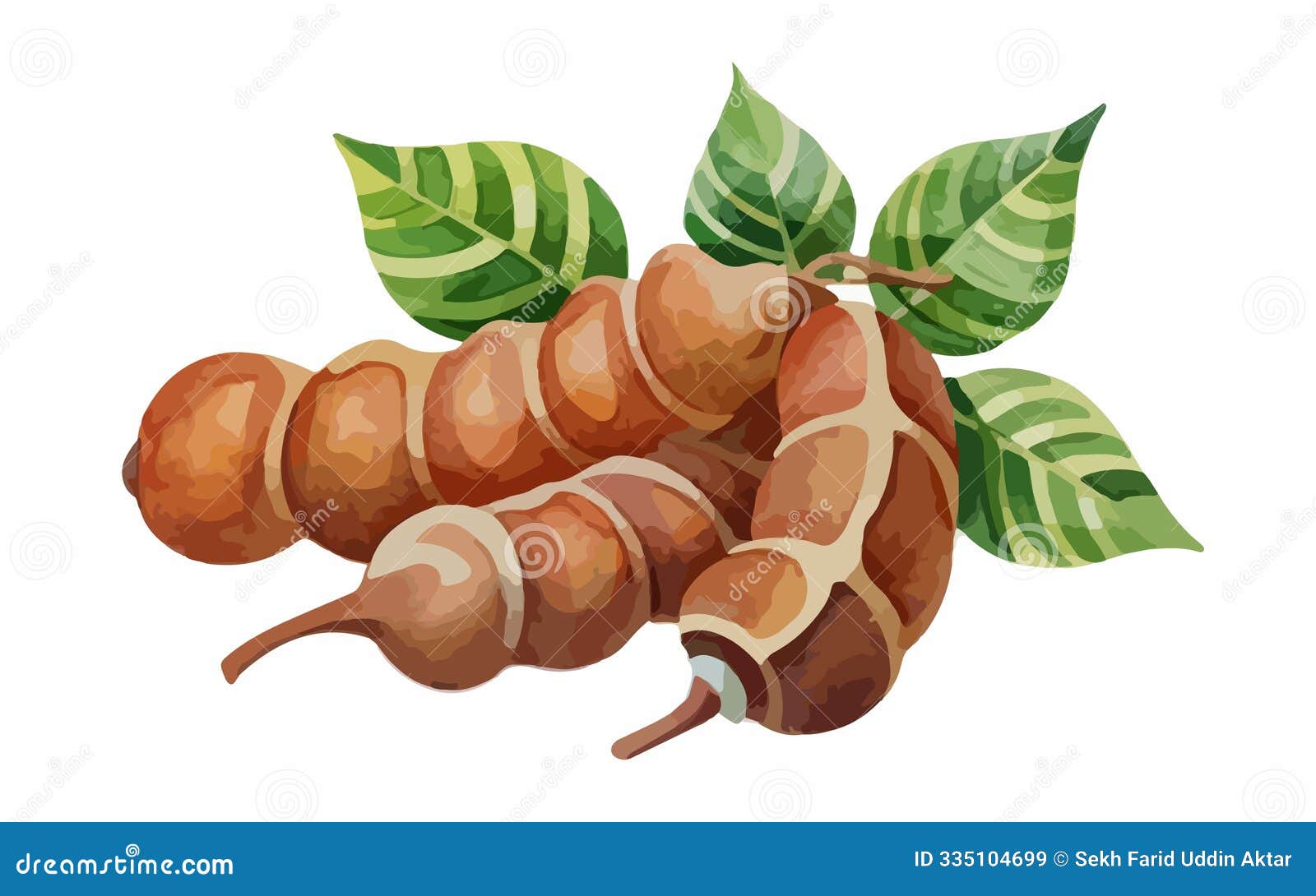 Tamarind Fruit with Leaf Art and Illustration Generative AI Stock ...