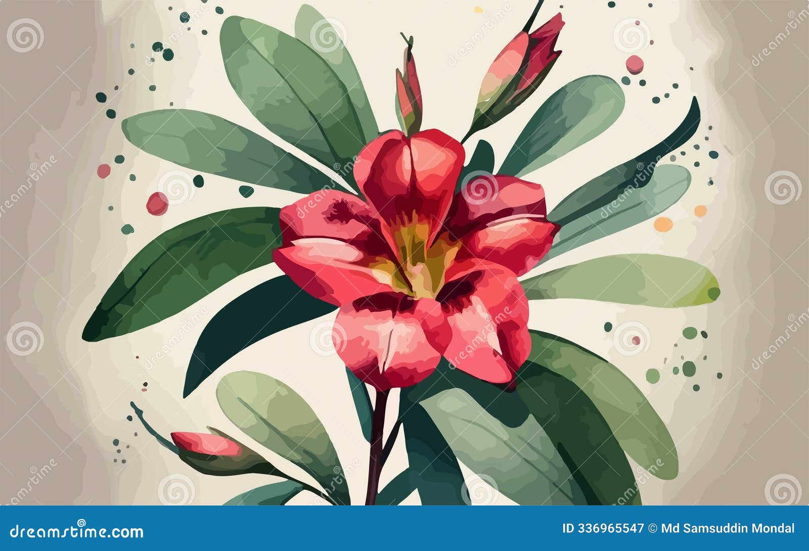 Watercolor Illustration of Adenium Flower, Botanical Illustration ...