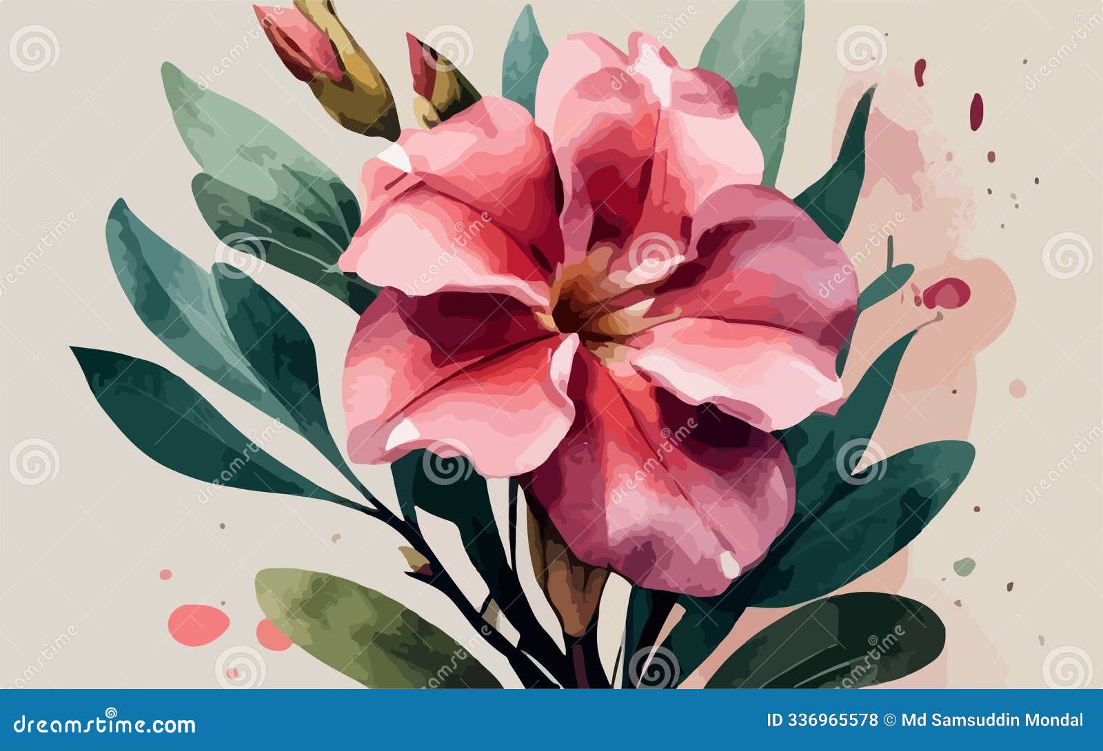 Watercolor Illustration of Adenium Flower, Botanical Illustration ...