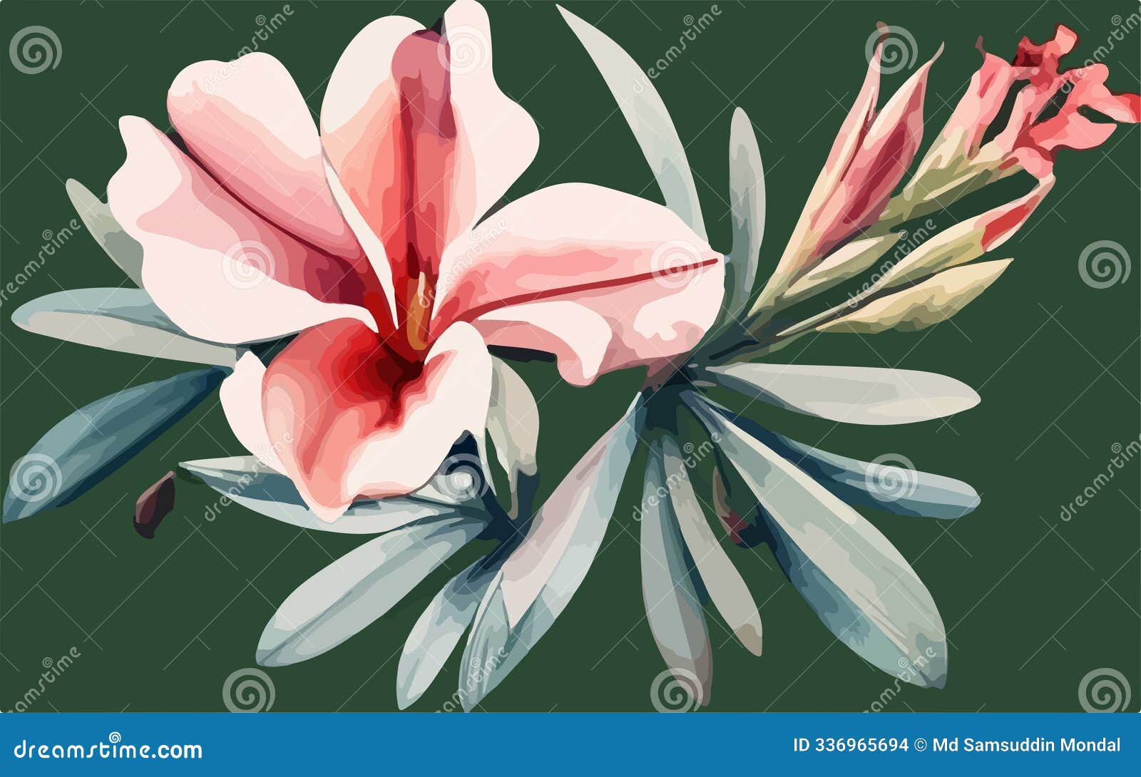 Watercolor Illustration of Adenium Flower, Botanical Illustration ...