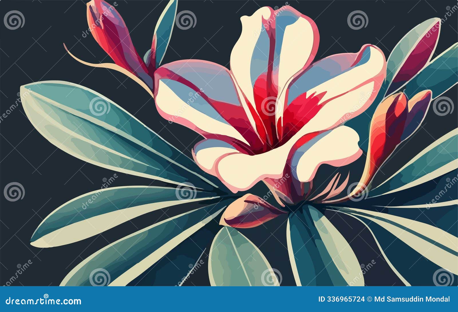 Watercolor Illustration of Adenium Flower, Botanical Illustration ...