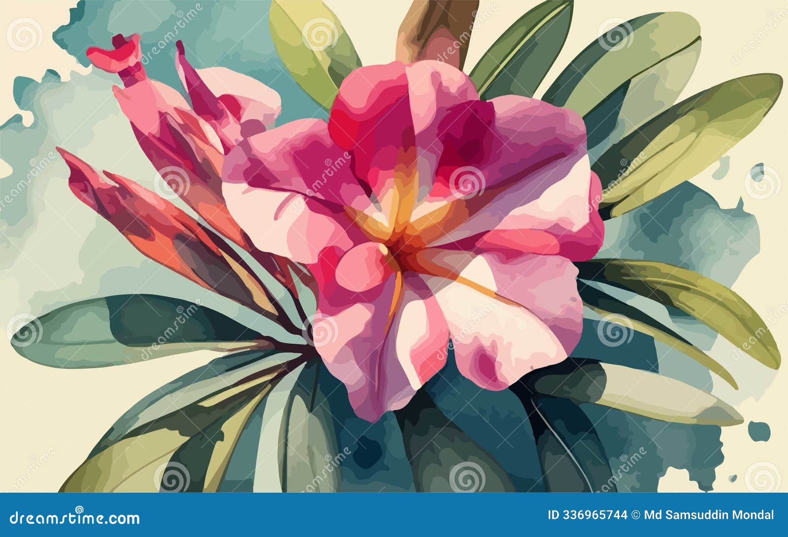 Watercolor Illustration of Adenium Flower, Botanical Illustration ...