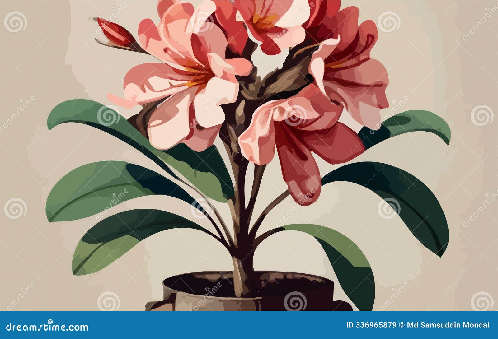 Watercolor Illustration of Adenium Flower, Botanical Illustration ...