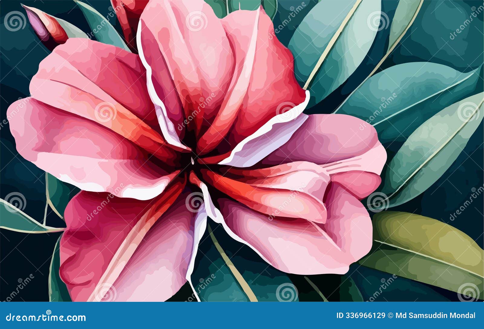 Watercolor Illustration of Adenium Flower, Botanical Illustration ...