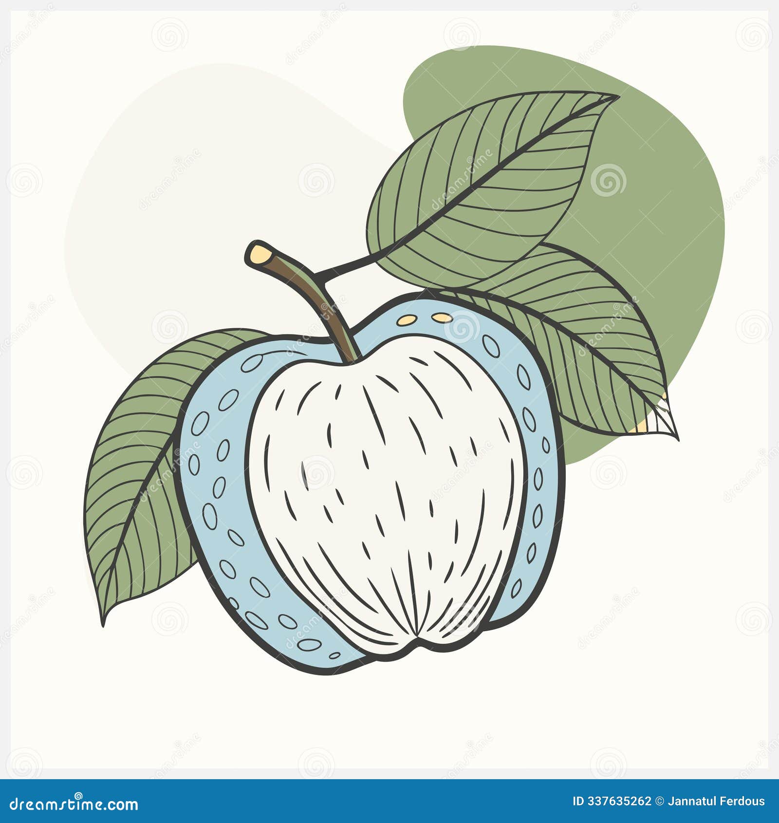Vibrant Malay Apple Fruit Vector Illustration Stock Vector ...