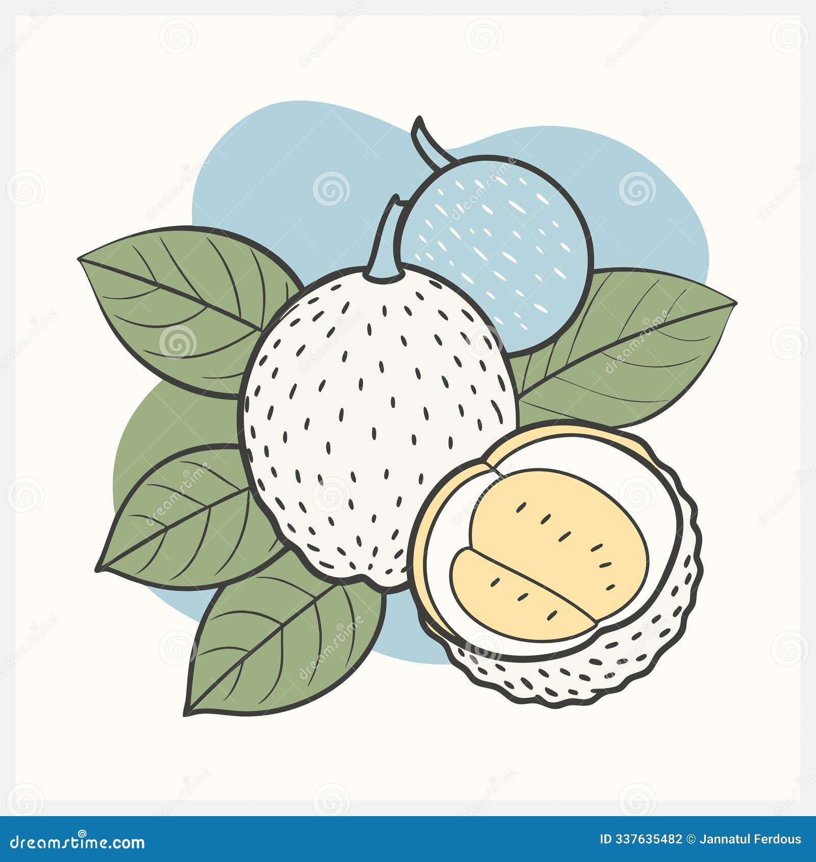 Lanzones Fruit Vector Illustration, a Stunning and Detailed ...