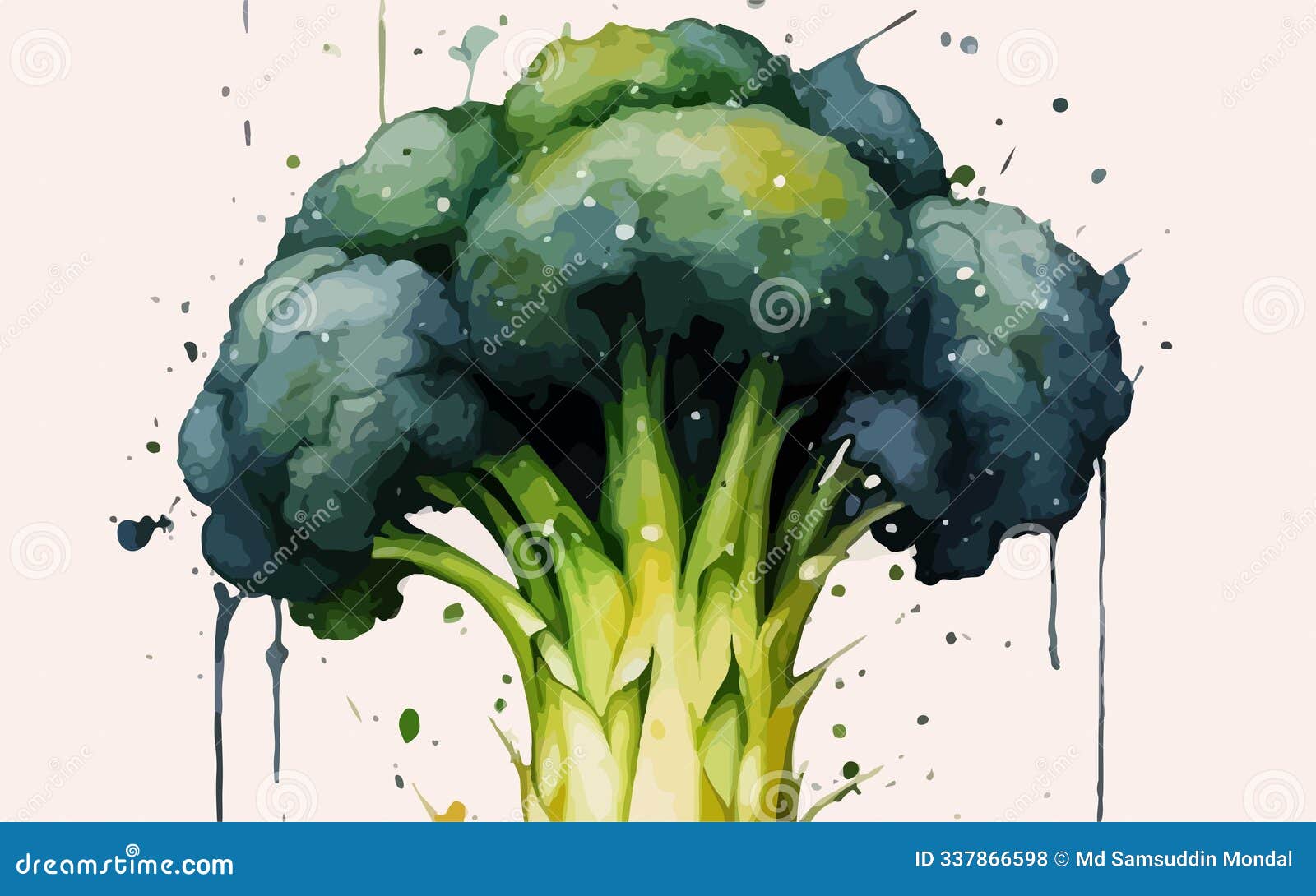 Watercolor Illustration of Broccoli, Botanical Illustration, Flowers ...