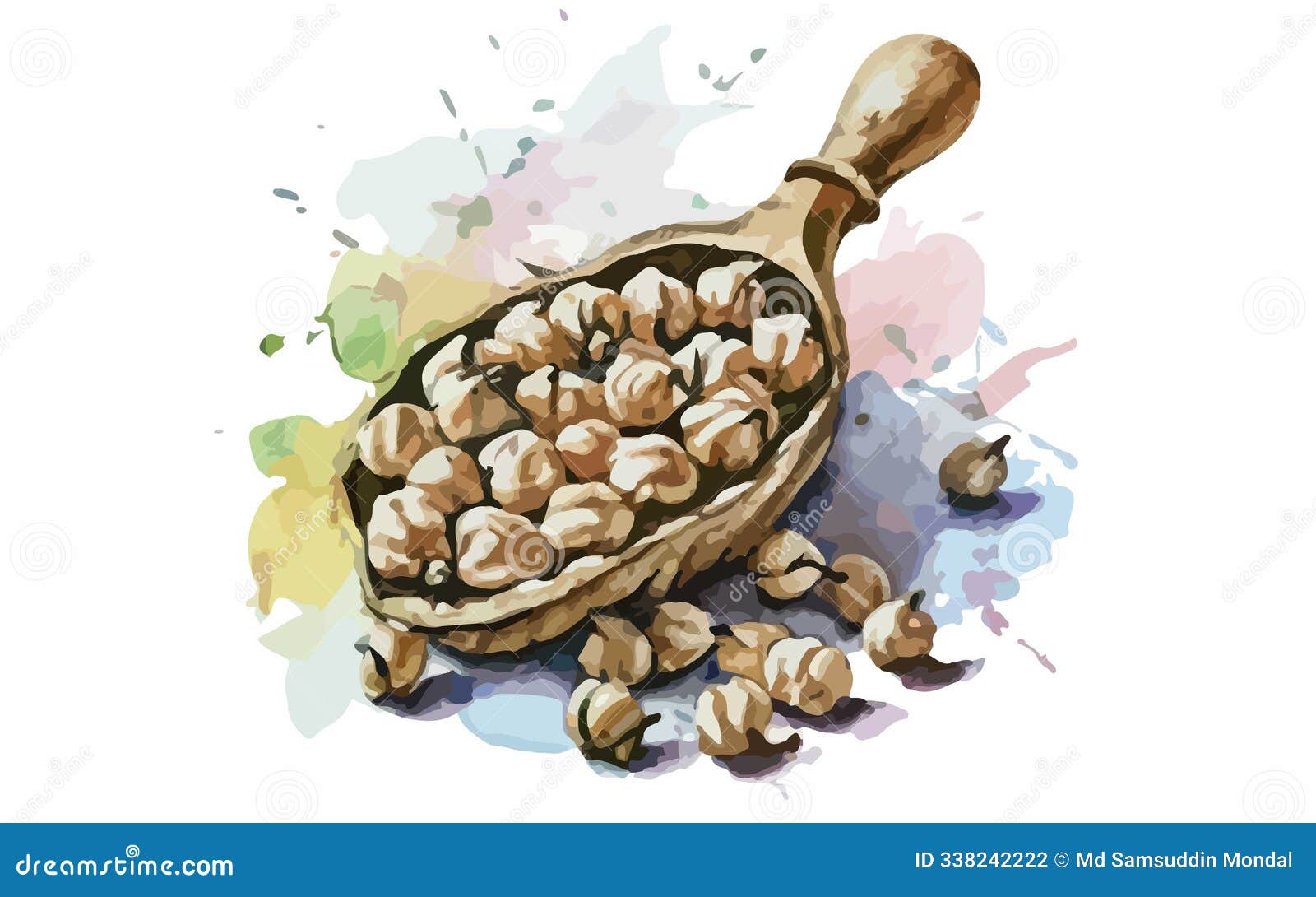 Watercolor Illustration of Chickpea, Botanical Illustration, Flowers ...