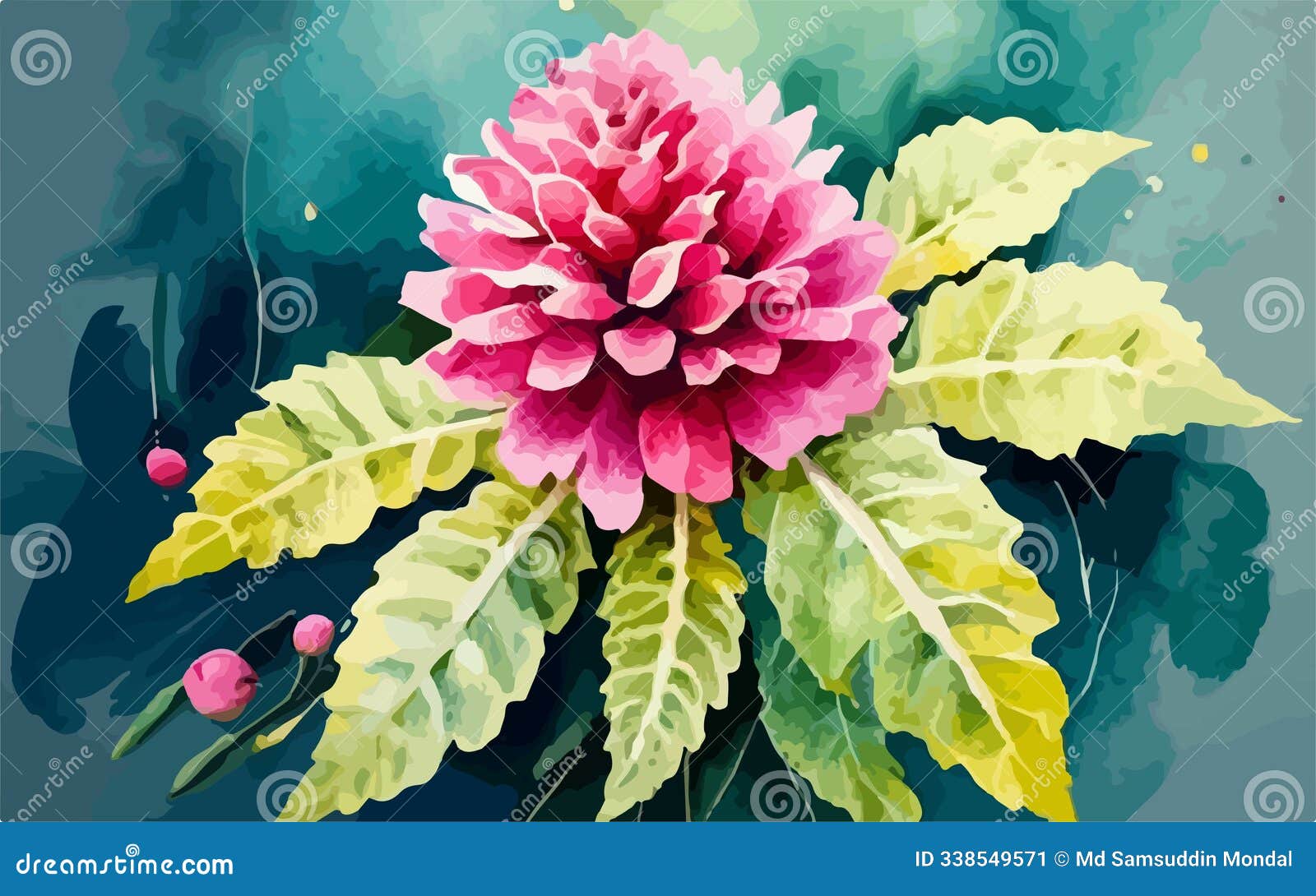 Watercolor Illustration of Cockscomb Flower, Botanical Illustration ...