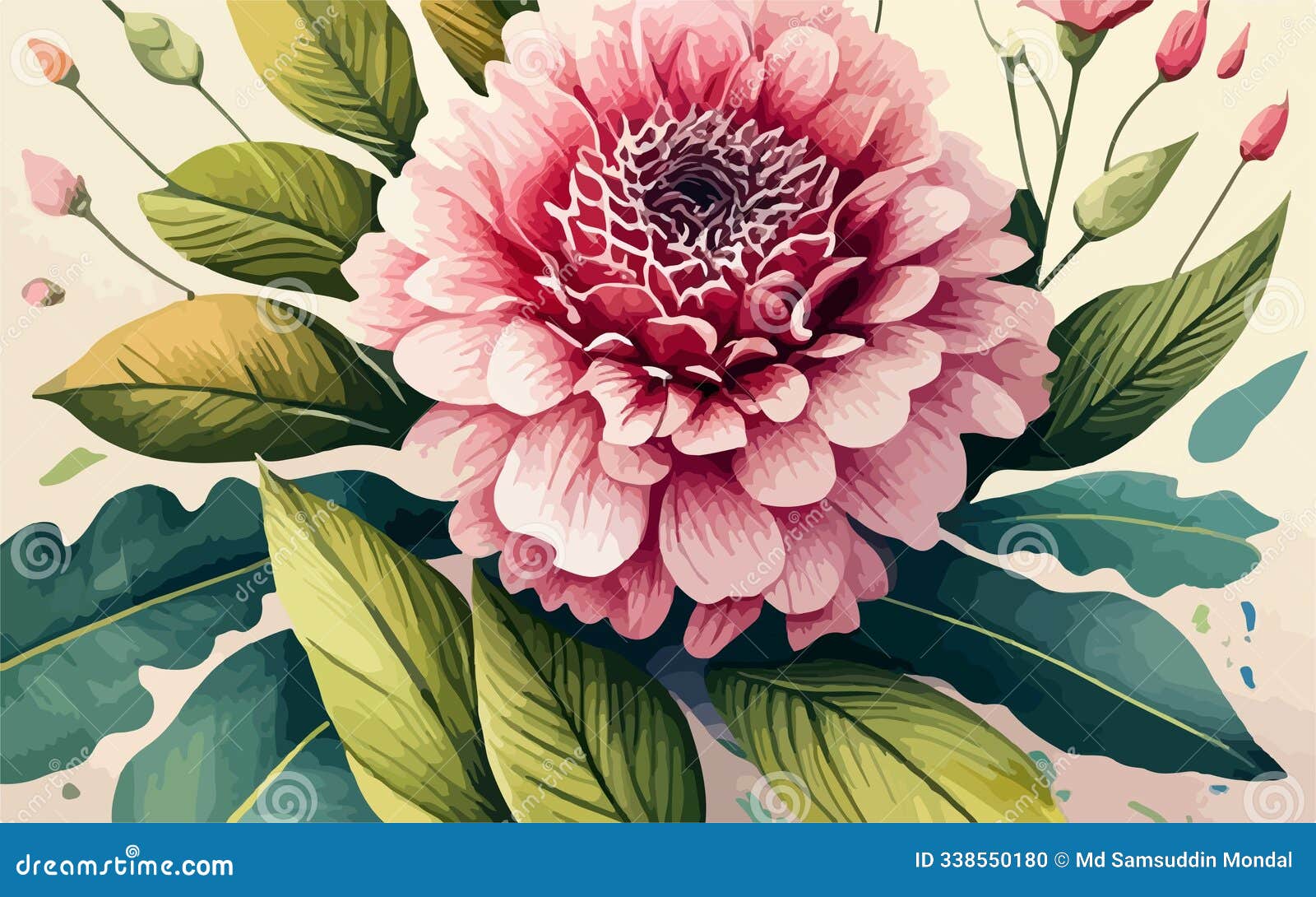 Watercolor Illustration of Cockscomb Flower, Botanical Illustration ...