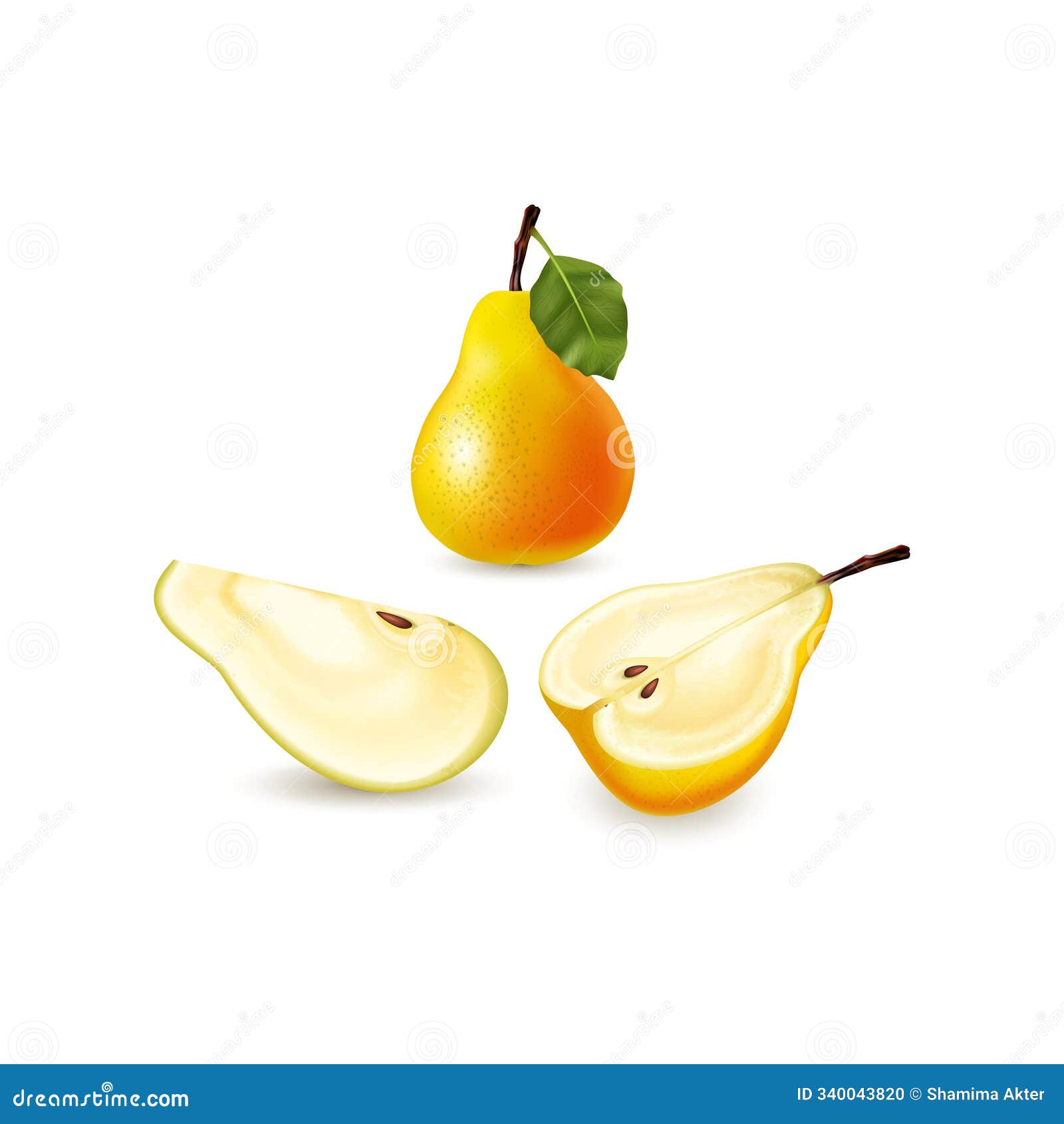 Whole Pear with Two Pear Slices Art & Illustration Stock Vector ...
