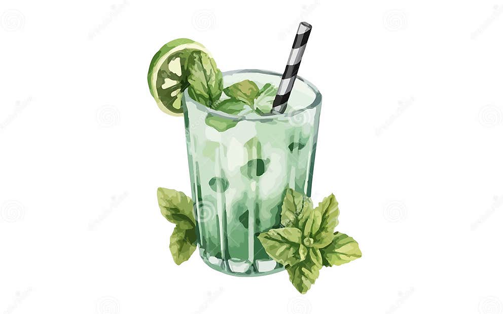 Watercolor Illustration of Mint, Botanical Illustration, Flowers ...