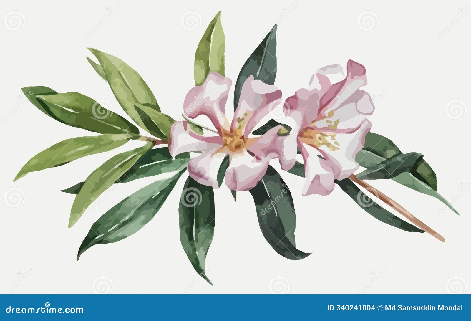 Watercolor Illustration of Oleander, Botanical Illustration, Flowers ...