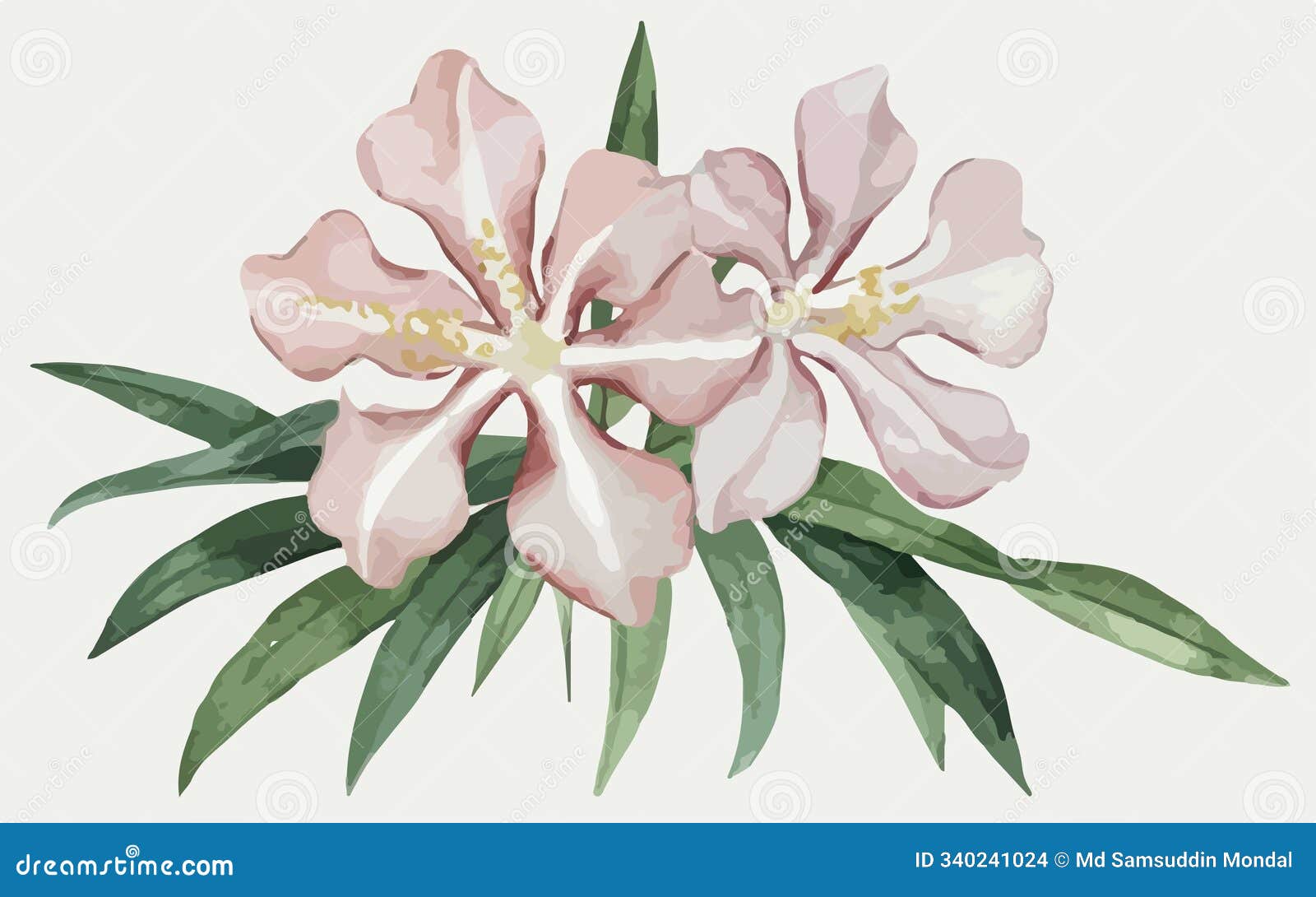 Watercolor Illustration of Oleander, Botanical Illustration, Flowers ...