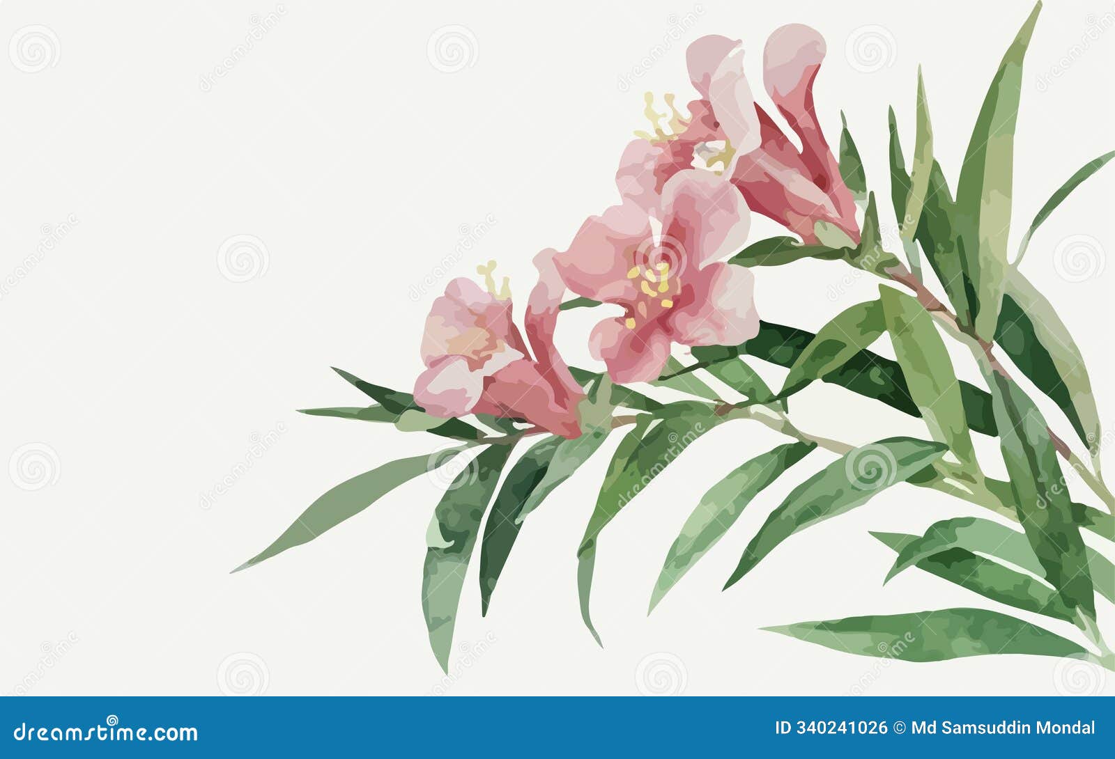 Watercolor Illustration of Oleander, Botanical Illustration, Flowers ...