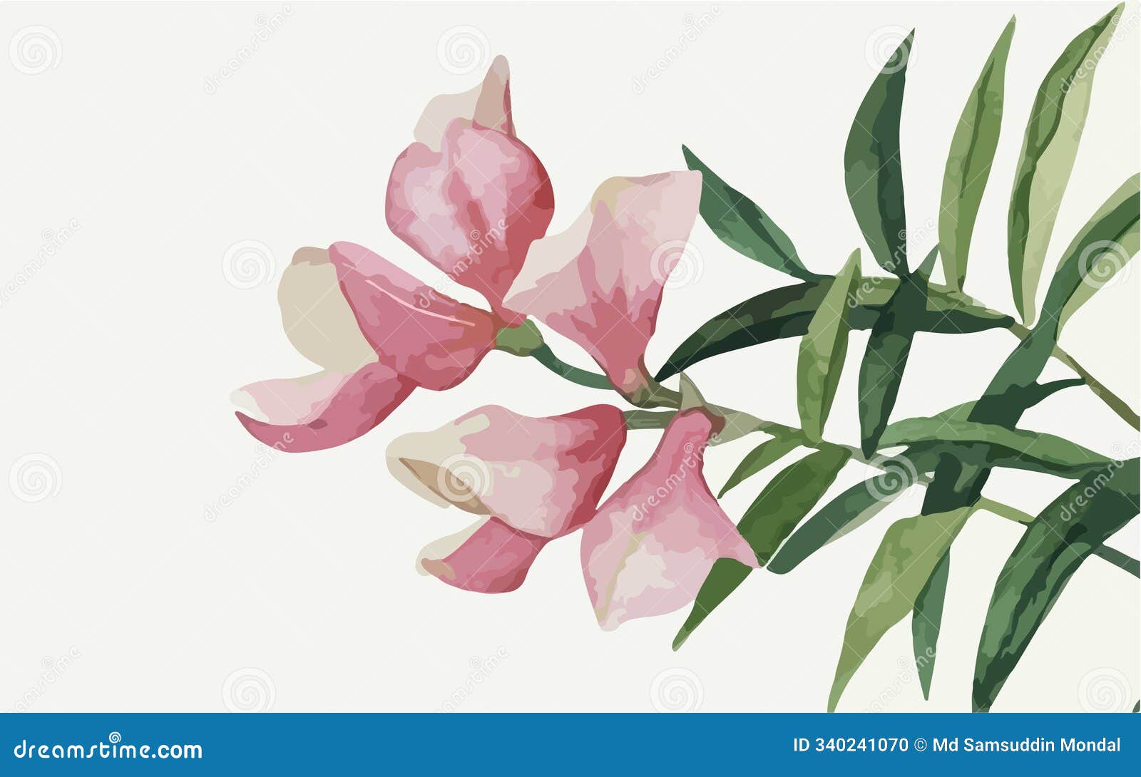Watercolor Illustration of Oleander, Botanical Illustration, Flowers ...