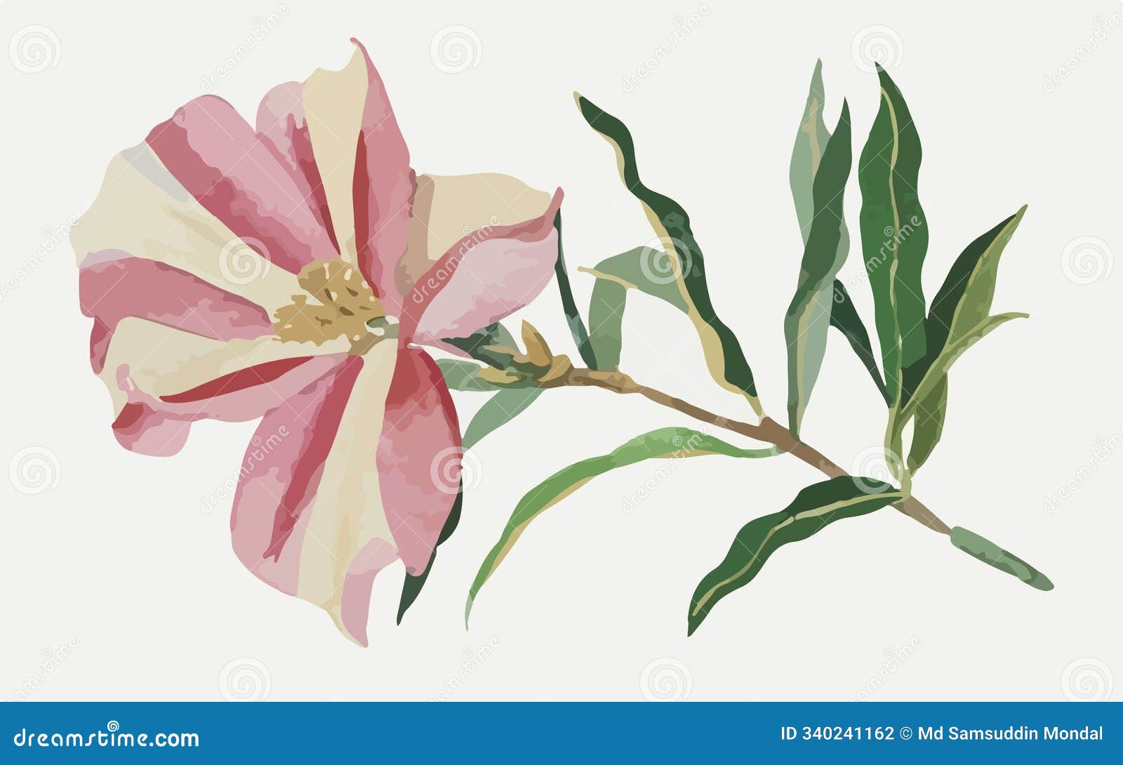 Watercolor Illustration of Oleander, Botanical Illustration, Flowers ...