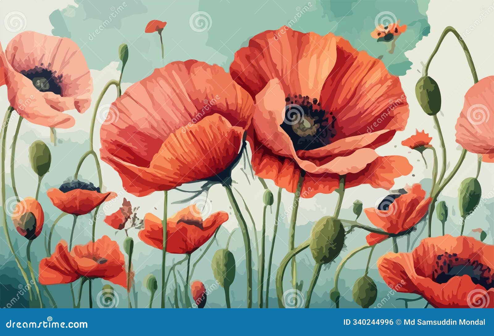 Watercolor Illustration of Oriental Poppy, Botanical Illustration ...