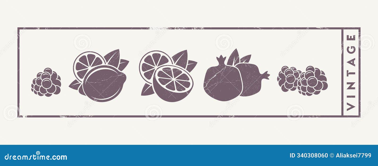 Vitage Style Fruit. Isolated Lemon Lime Pomegranate Raspberry and ...