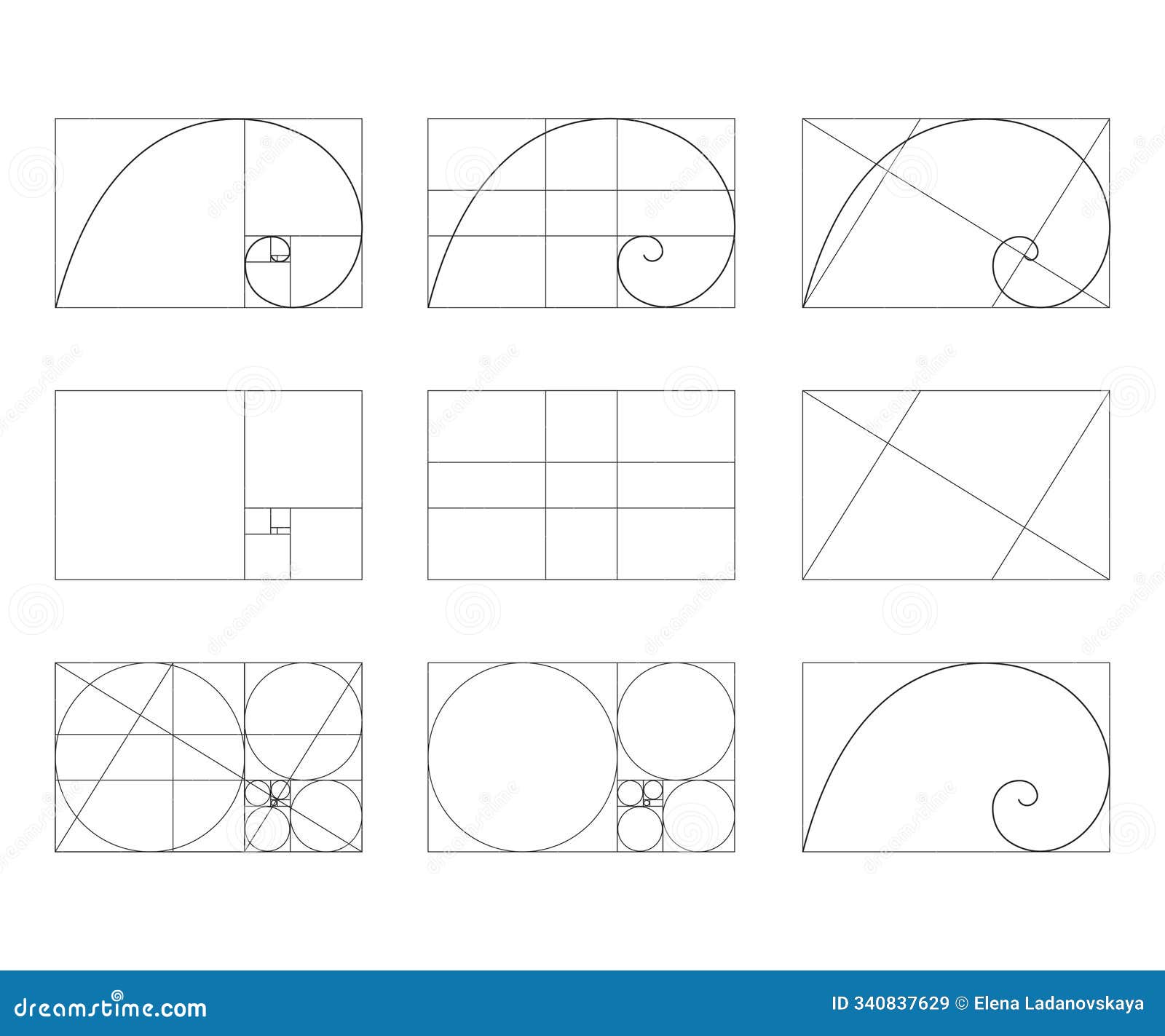 A Set Of Golden Ratio Templates Cartoon Vector | CartoonDealer.com ...