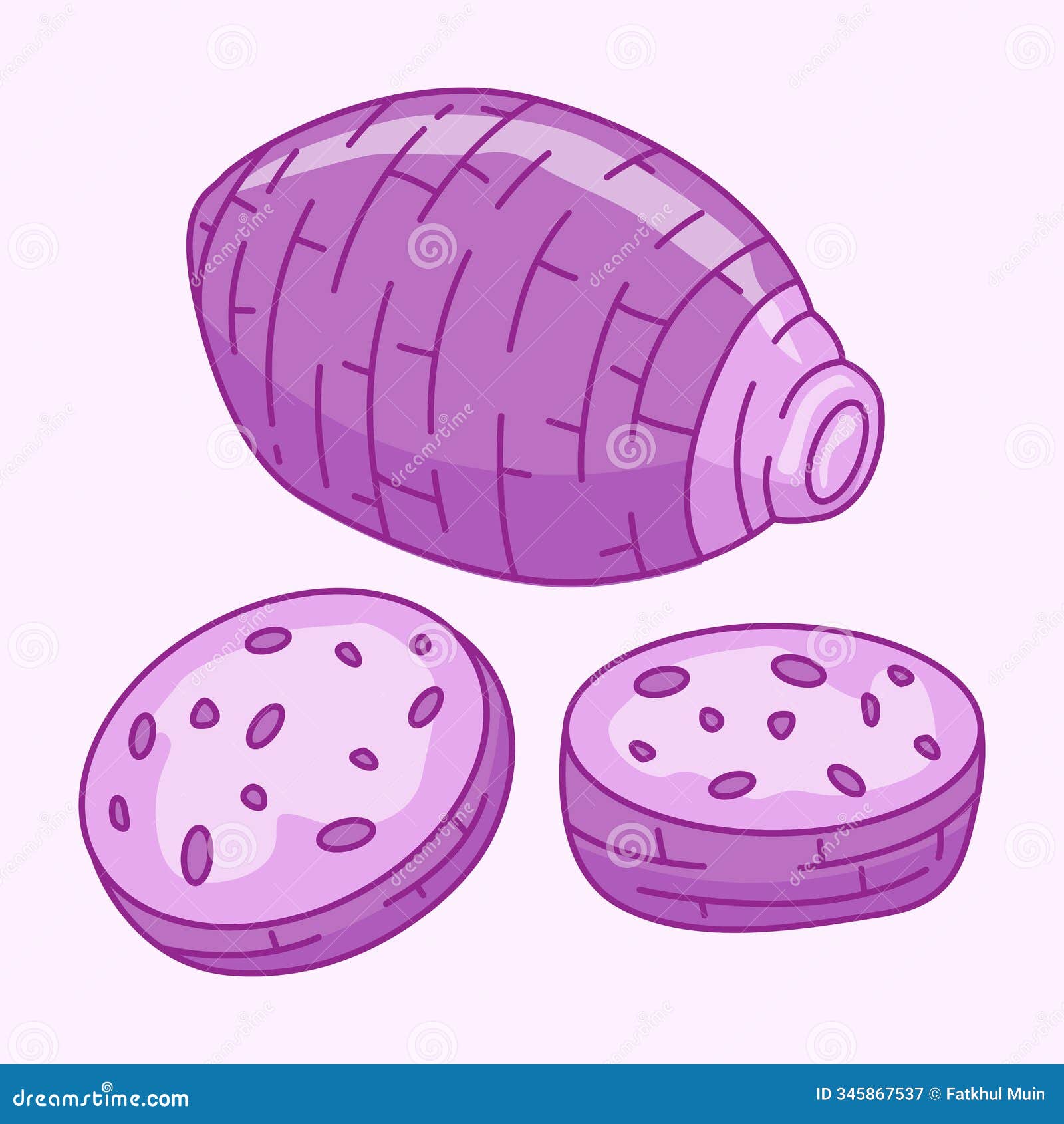 Vector Illustration of Taro Root Vegetable with Two Round Slices of ...