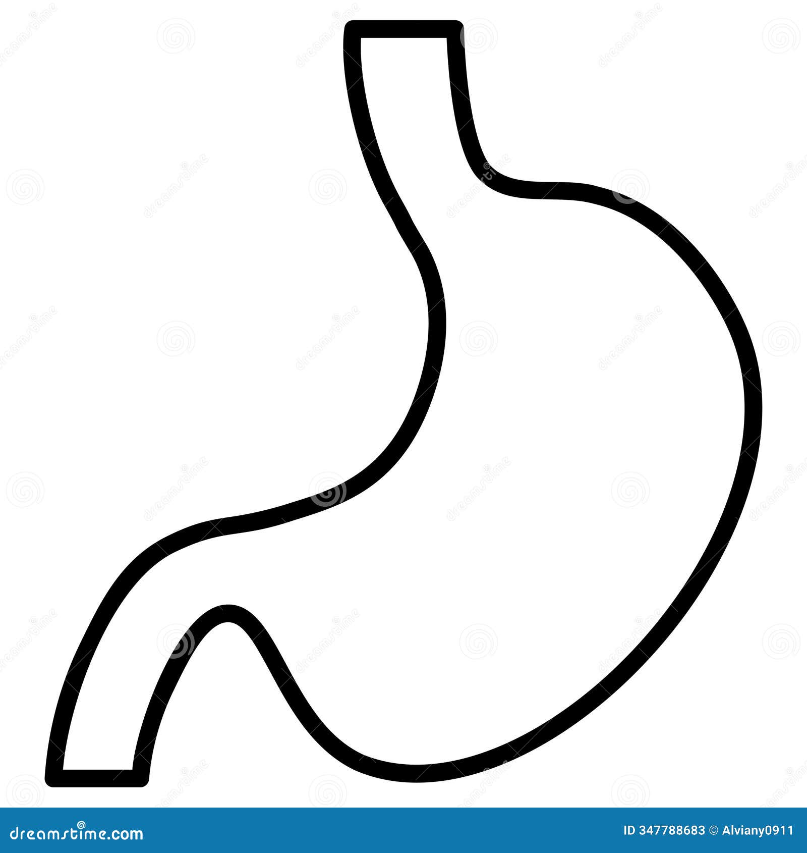 Stomach Outline Icon Vector. Simple Stomach Illustration Stock Vector ...